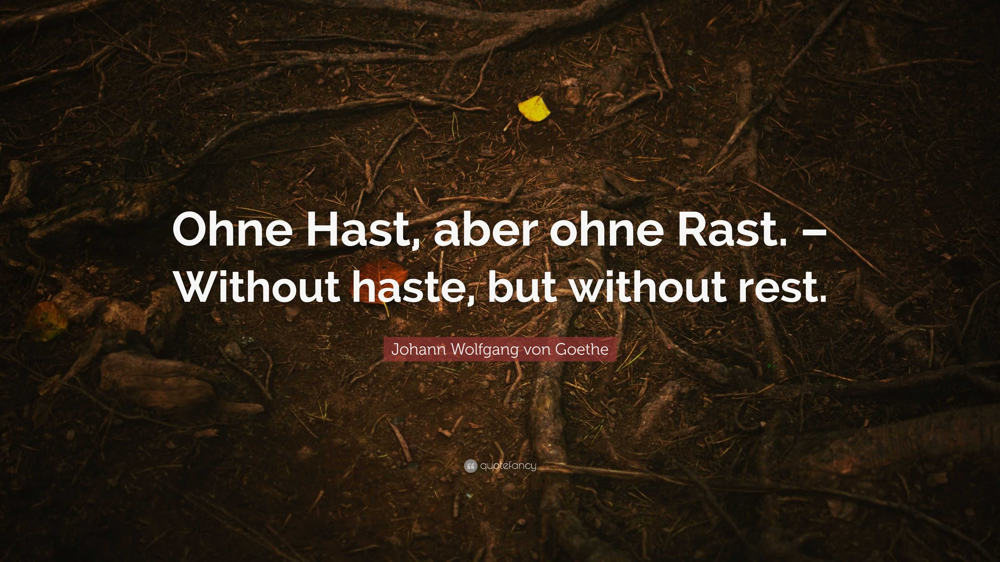 Johann Wolfgang von Goethe Quote: “Ohne Hast, aber ohne Rast. – Without ...