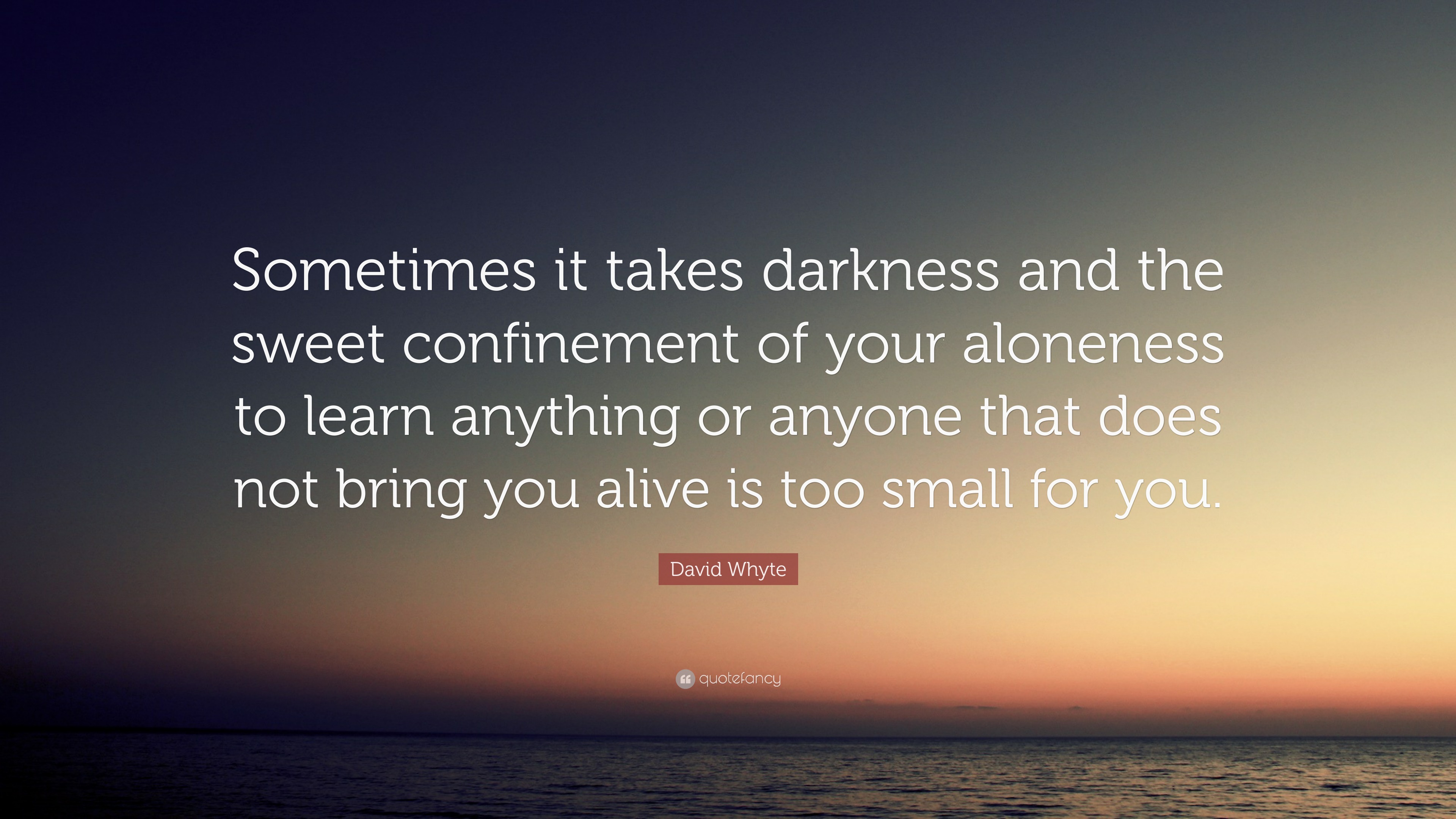 David Whyte Quote: “Sometimes it takes darkness and the sweet ...