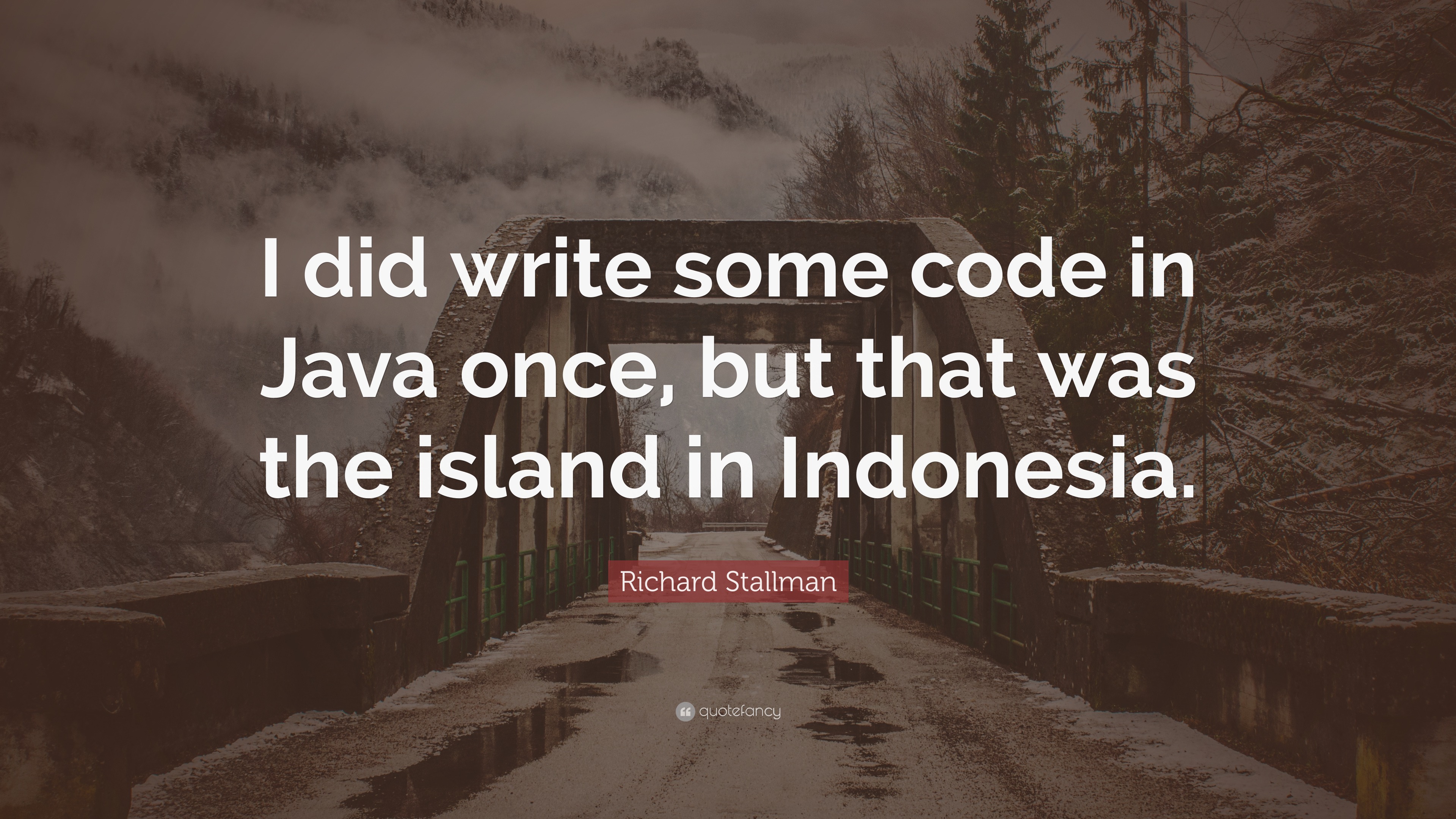 Richard Stallman Quote: “I did write some code in Java once, but that ...