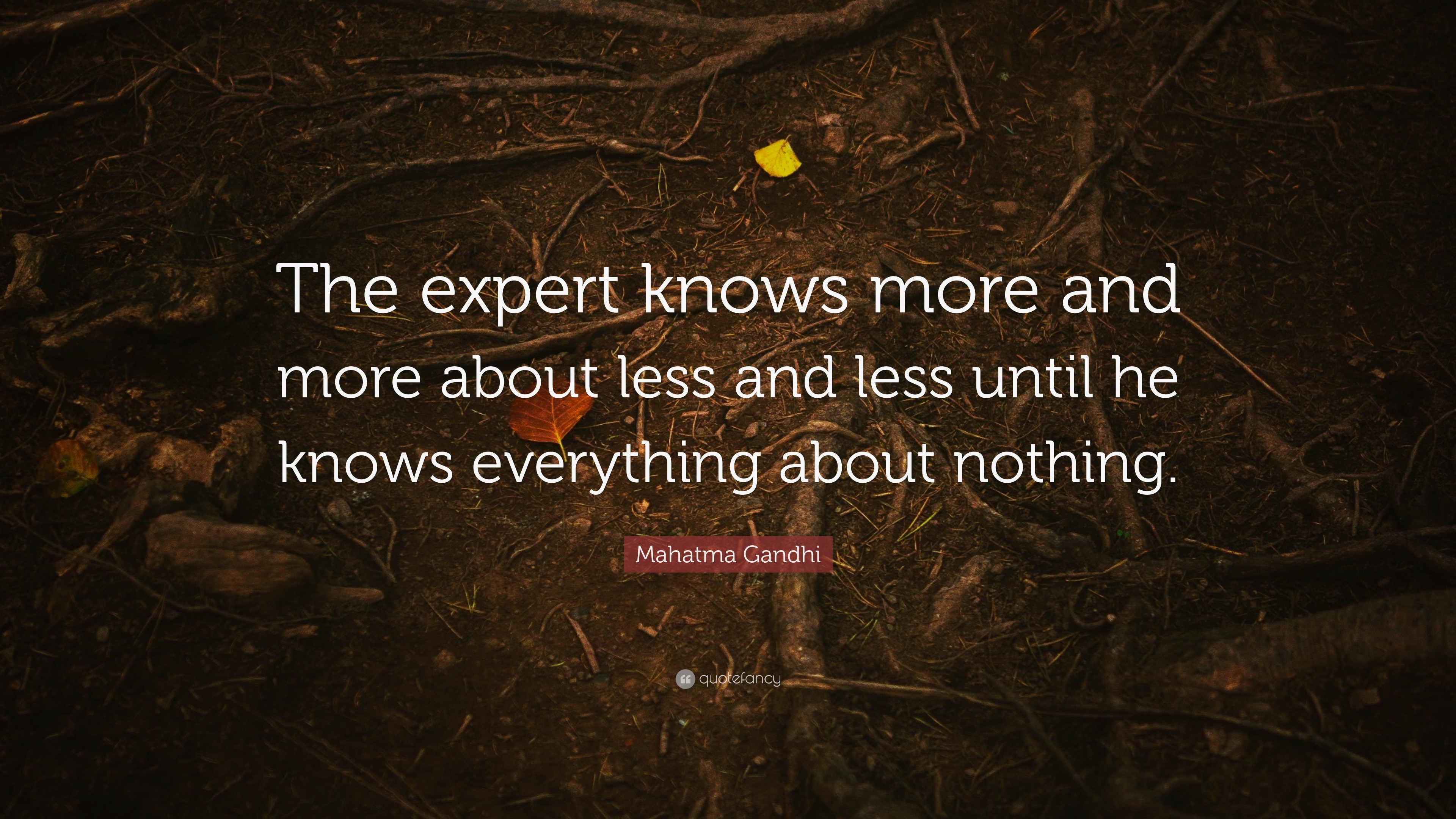 Mahatma Gandhi Quote: “The expert knows more and more about less and ...