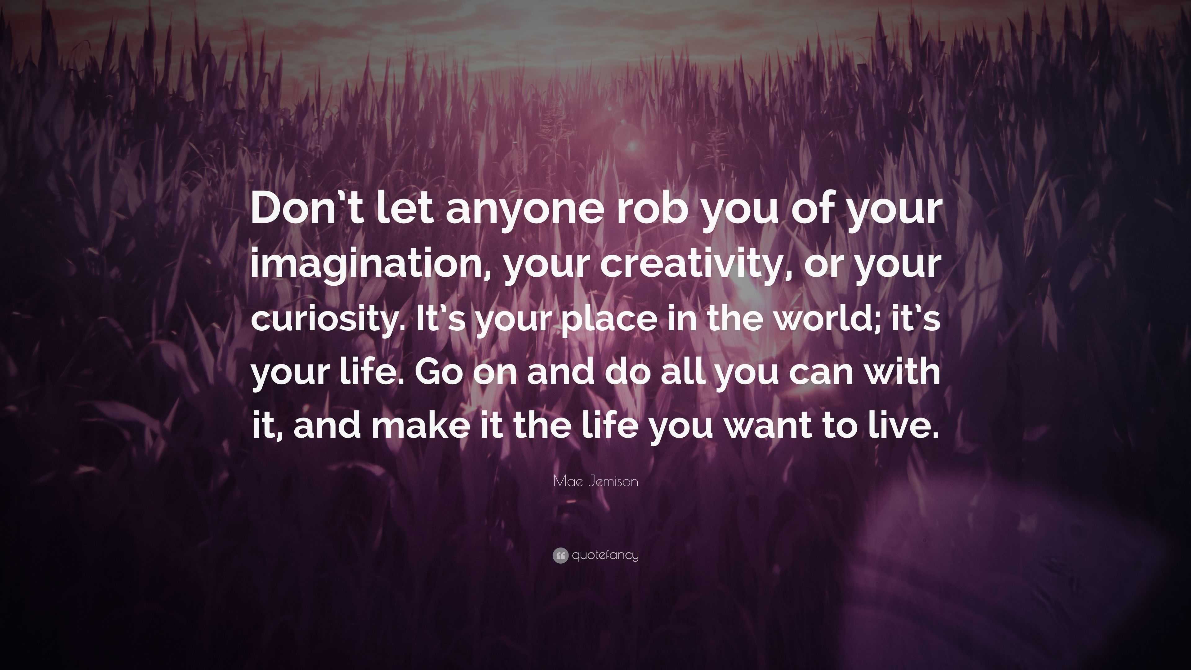 Mae Jemison Quote: “Don’t let anyone rob you of your imagination, your ...