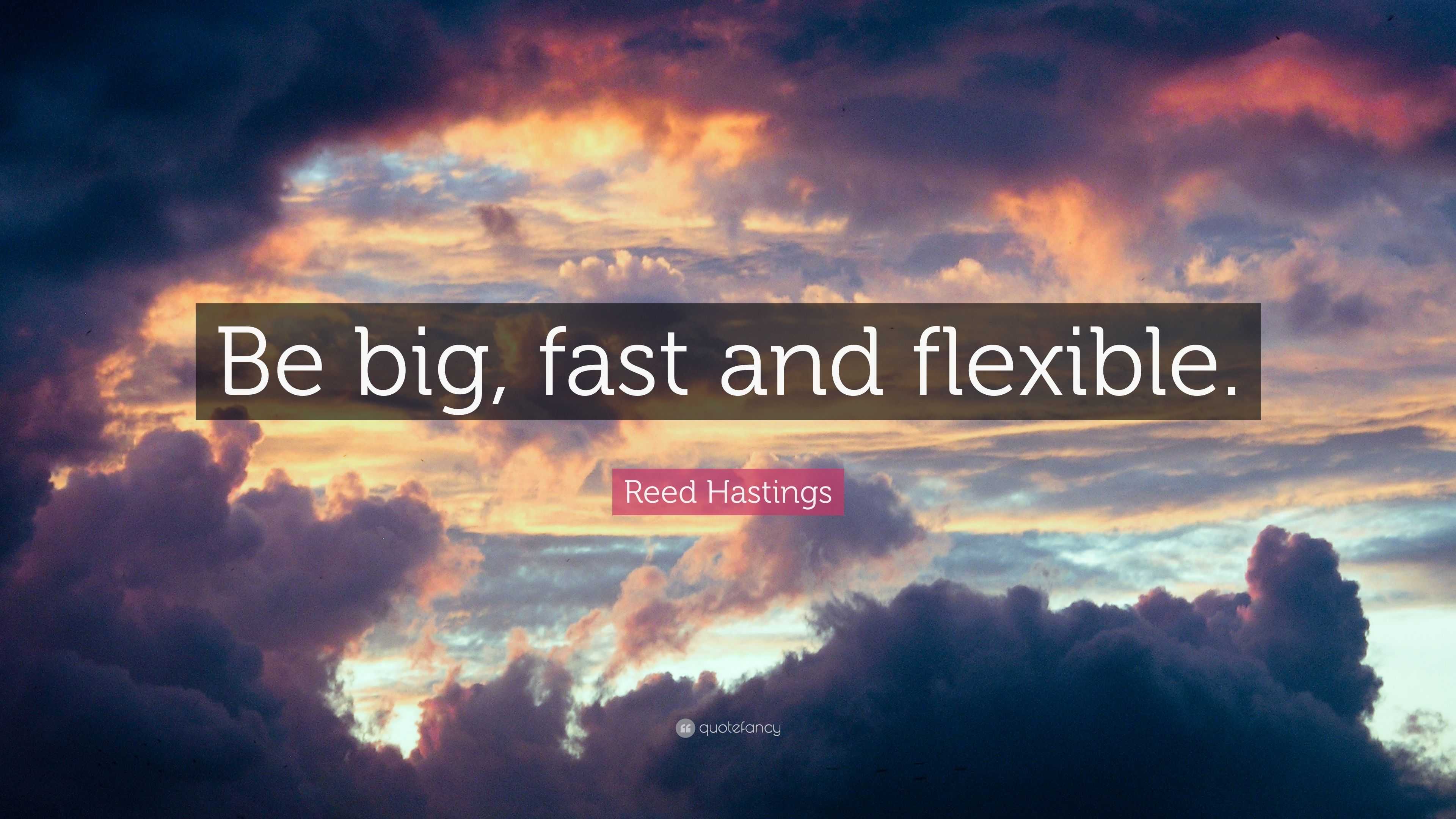 Reed Hastings Quote: “Be big, fast and flexible.”