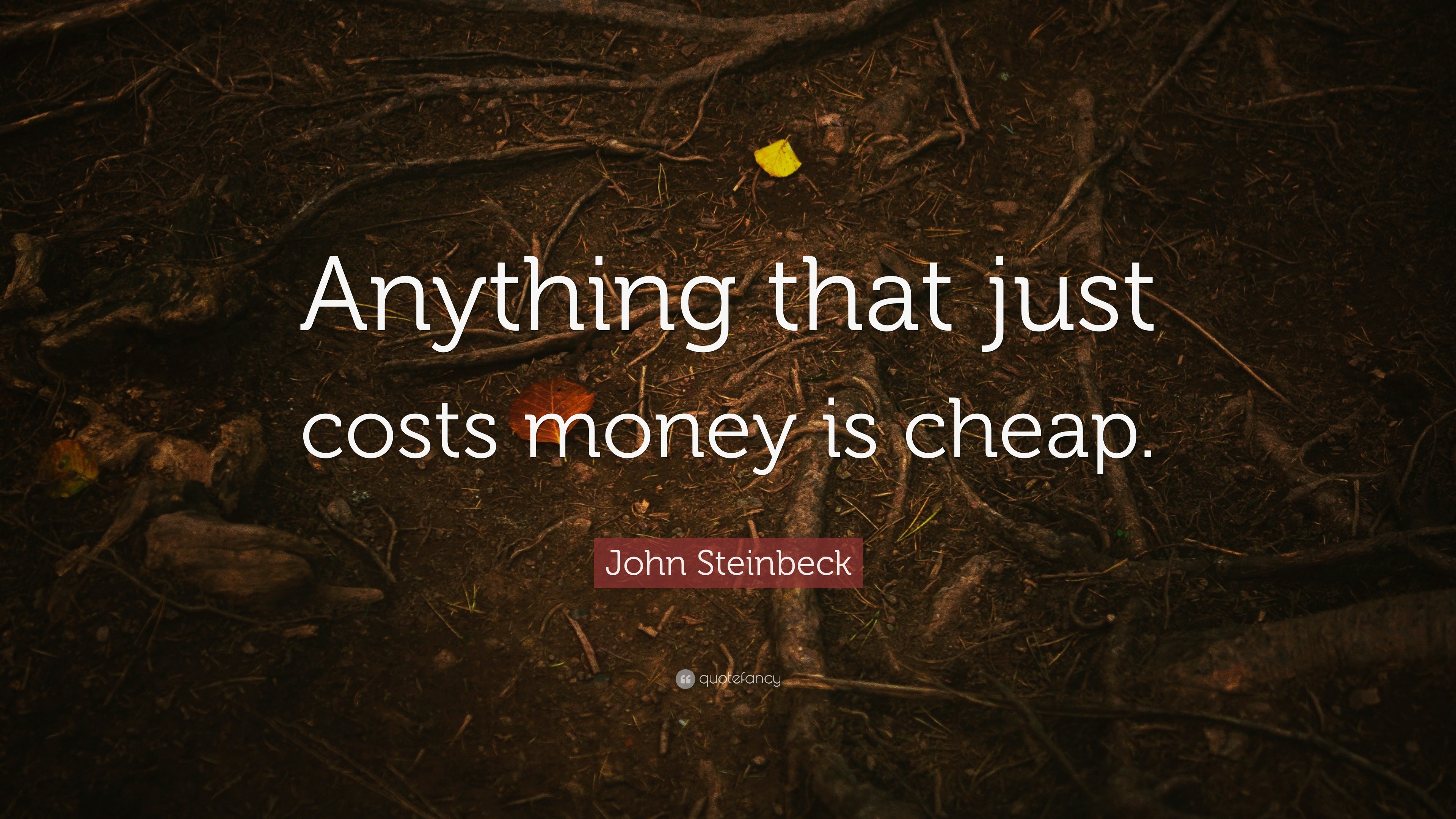 John Steinbeck Quote: “Anything that just costs money is cheap.”