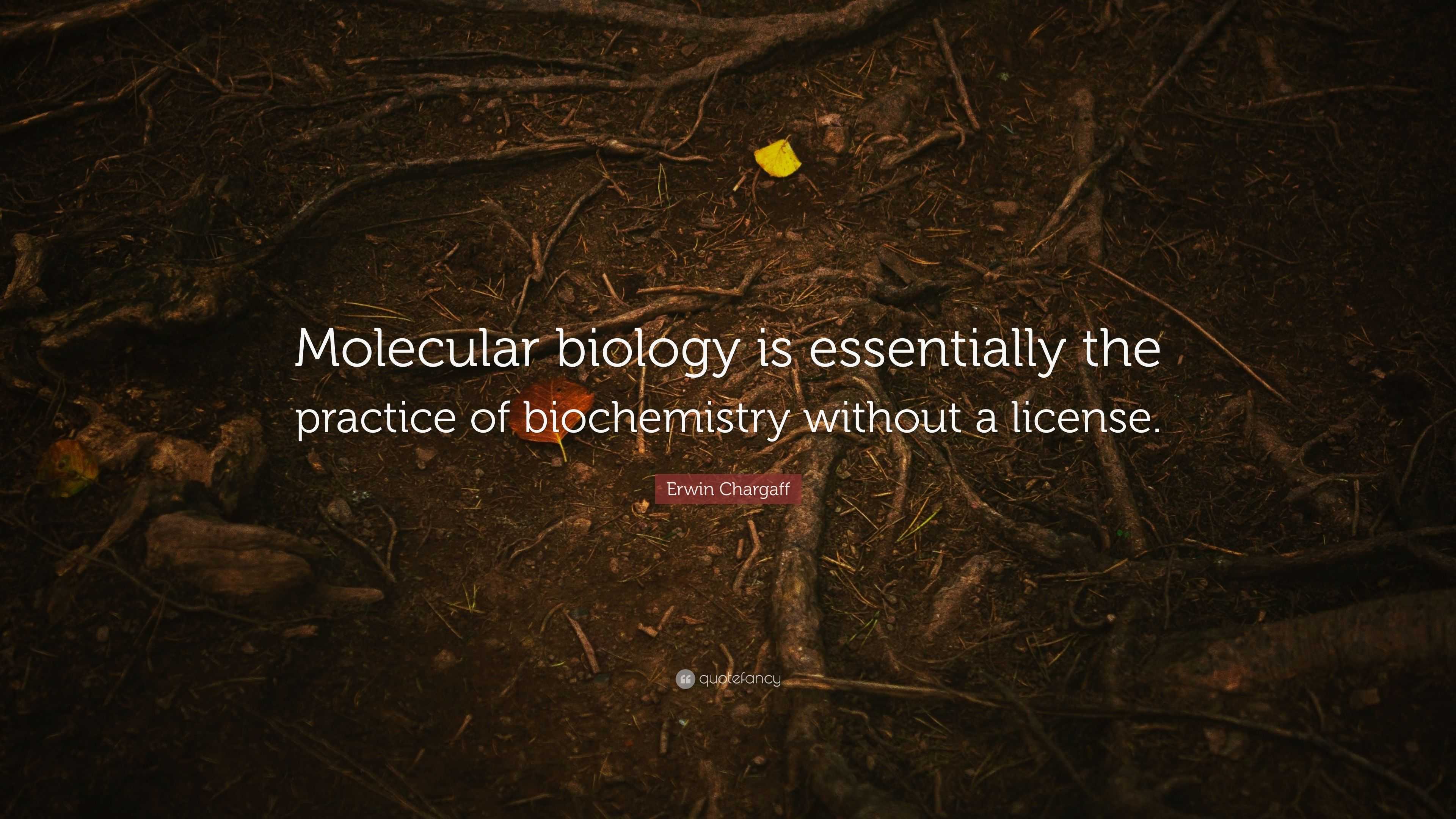 Erwin Chargaff Quote: “Molecular biology is essentially the practice of ...