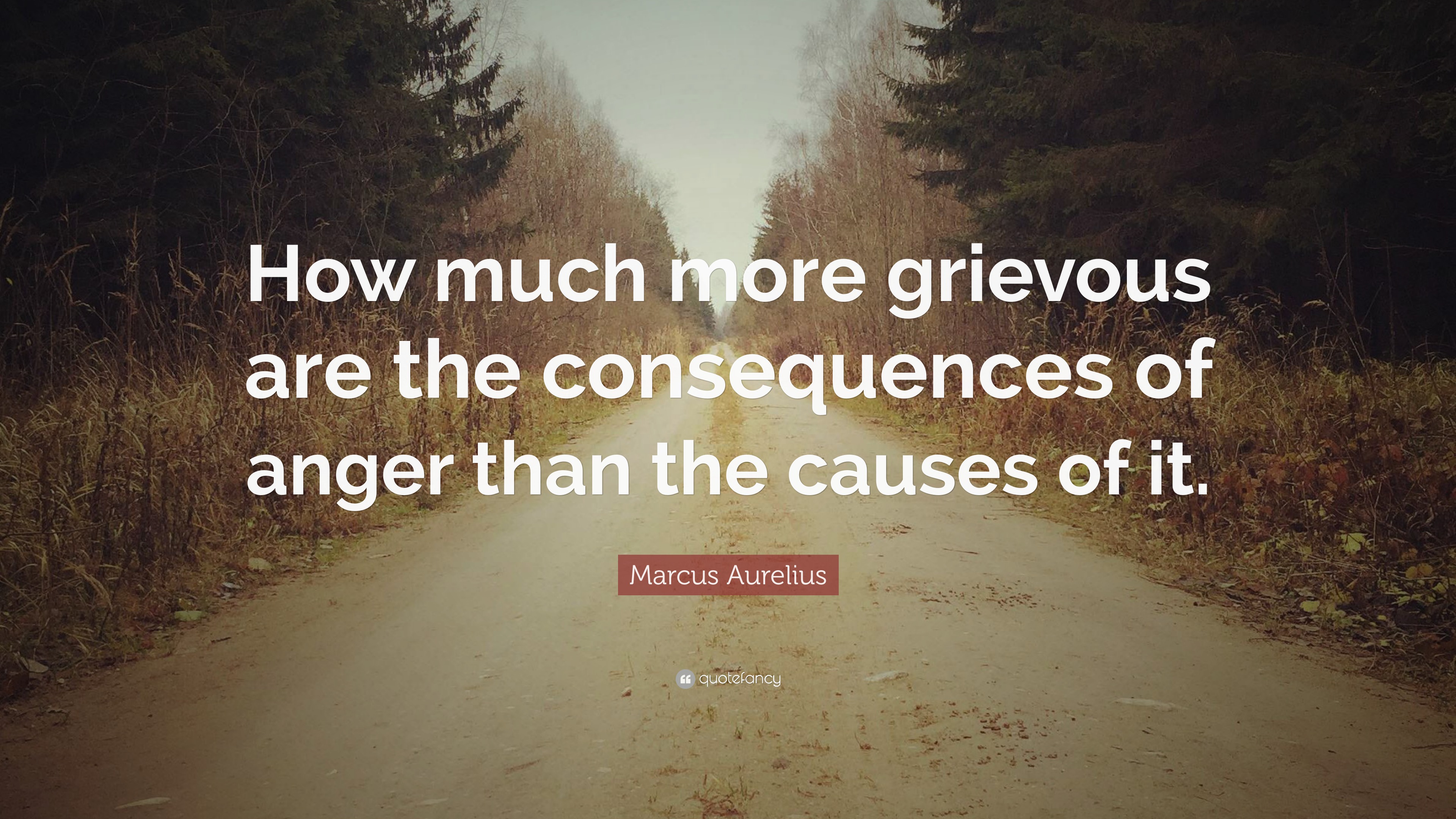 Marcus Aurelius Quote: “How much more grievous are the consequences of ...