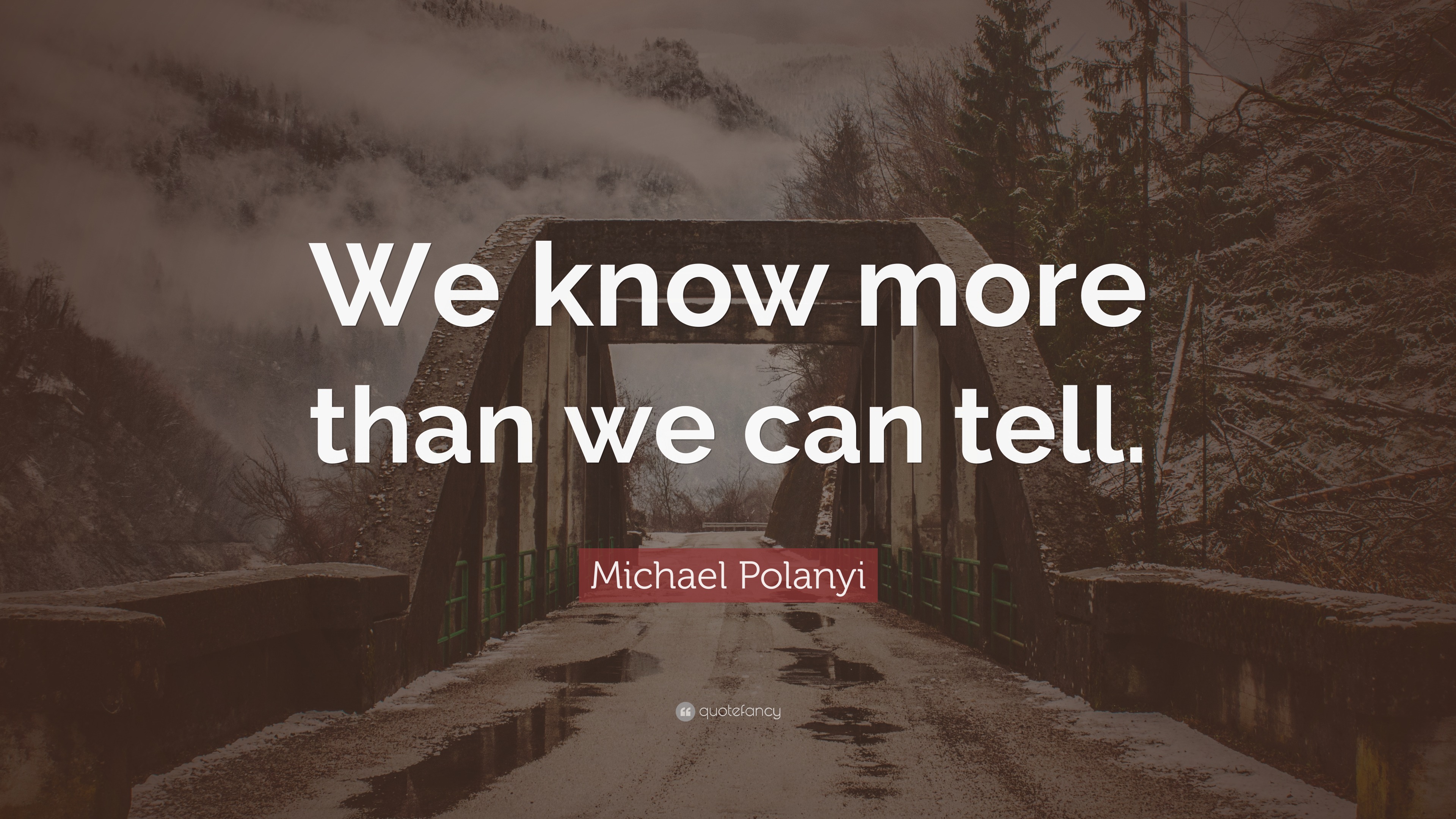 Michael Polanyi Quote: “We know more than we can tell.”