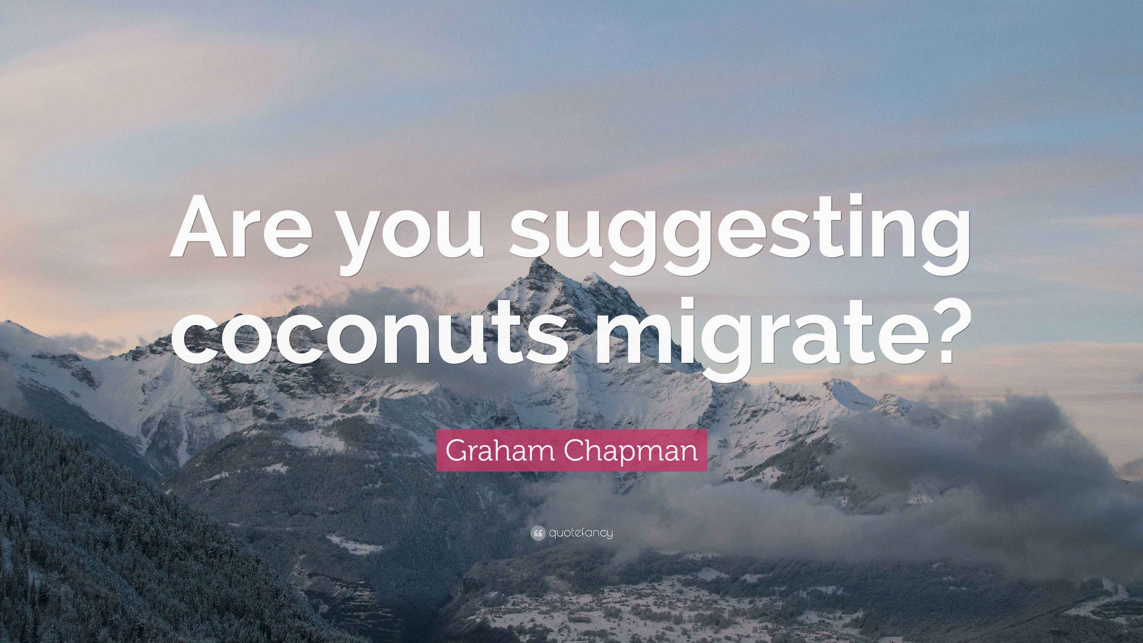 Graham Chapman Quote: “Are you suggesting coconuts migrate?”