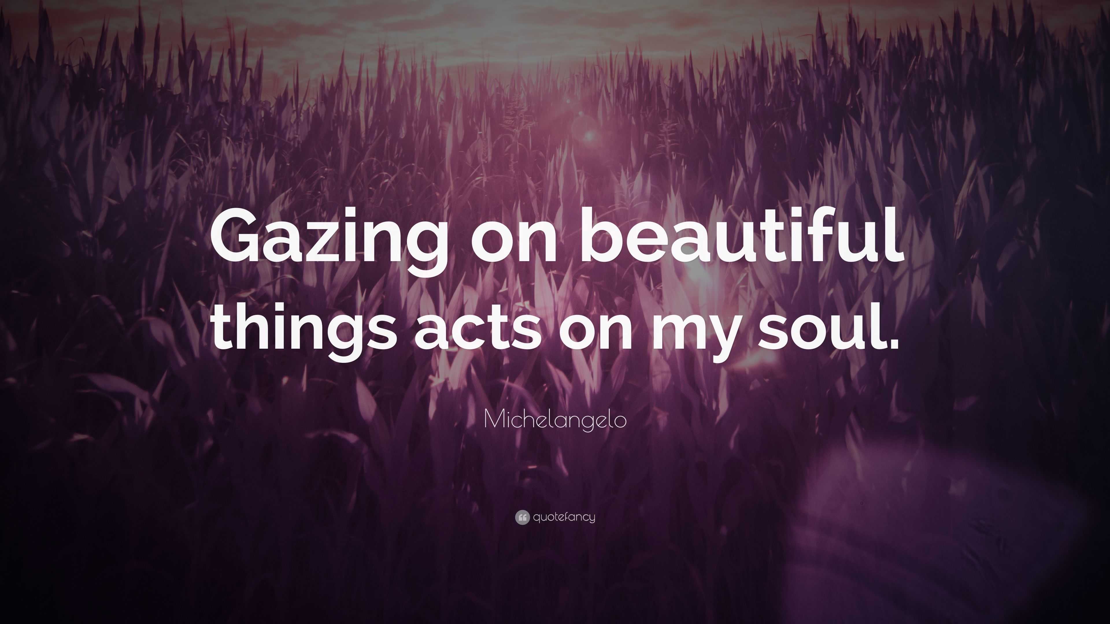 Michelangelo Quote: “Gazing on beautiful things acts on my soul.”