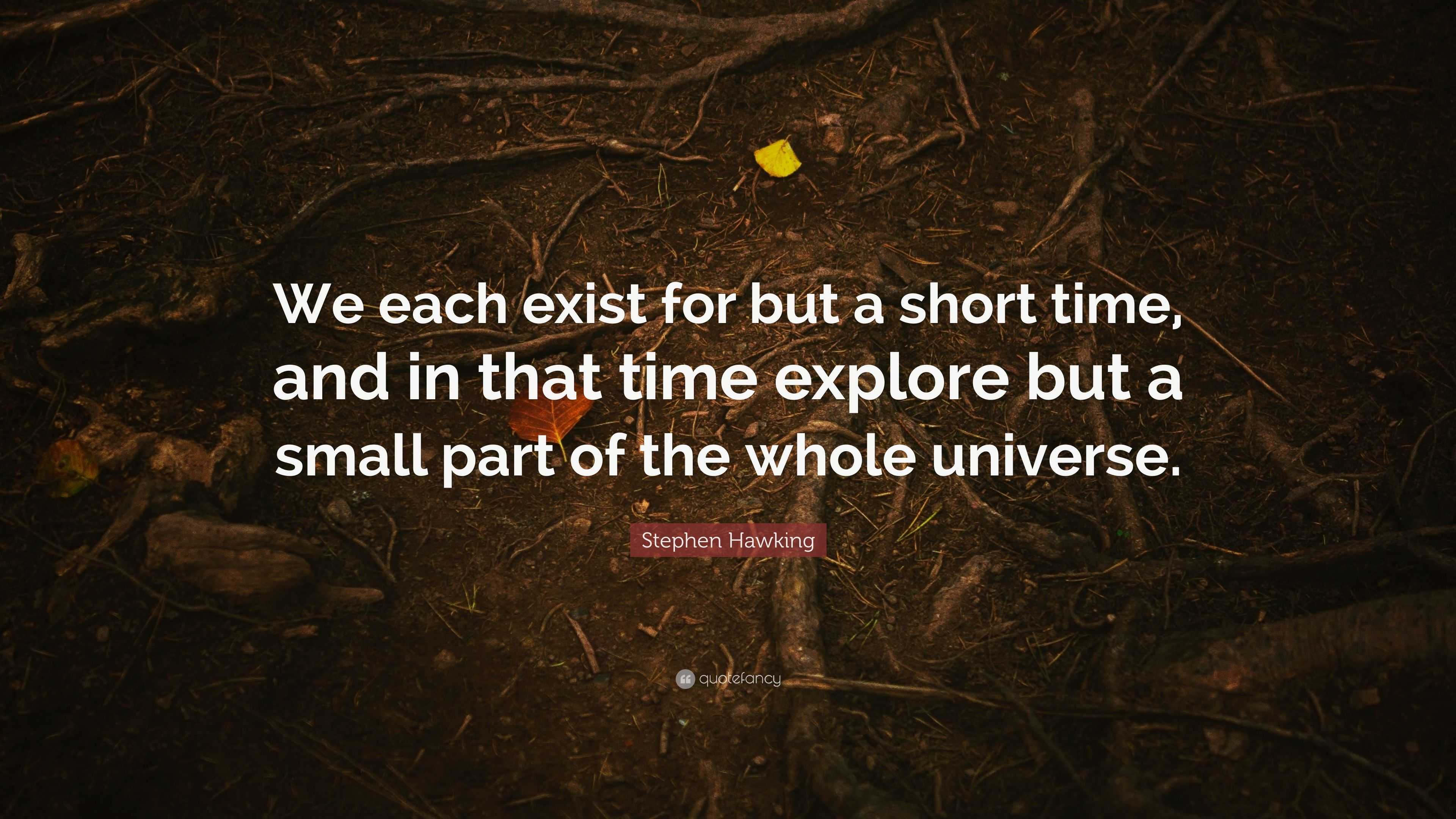 Stephen Hawking Quote: “We each exist for but a short time, and in that ...