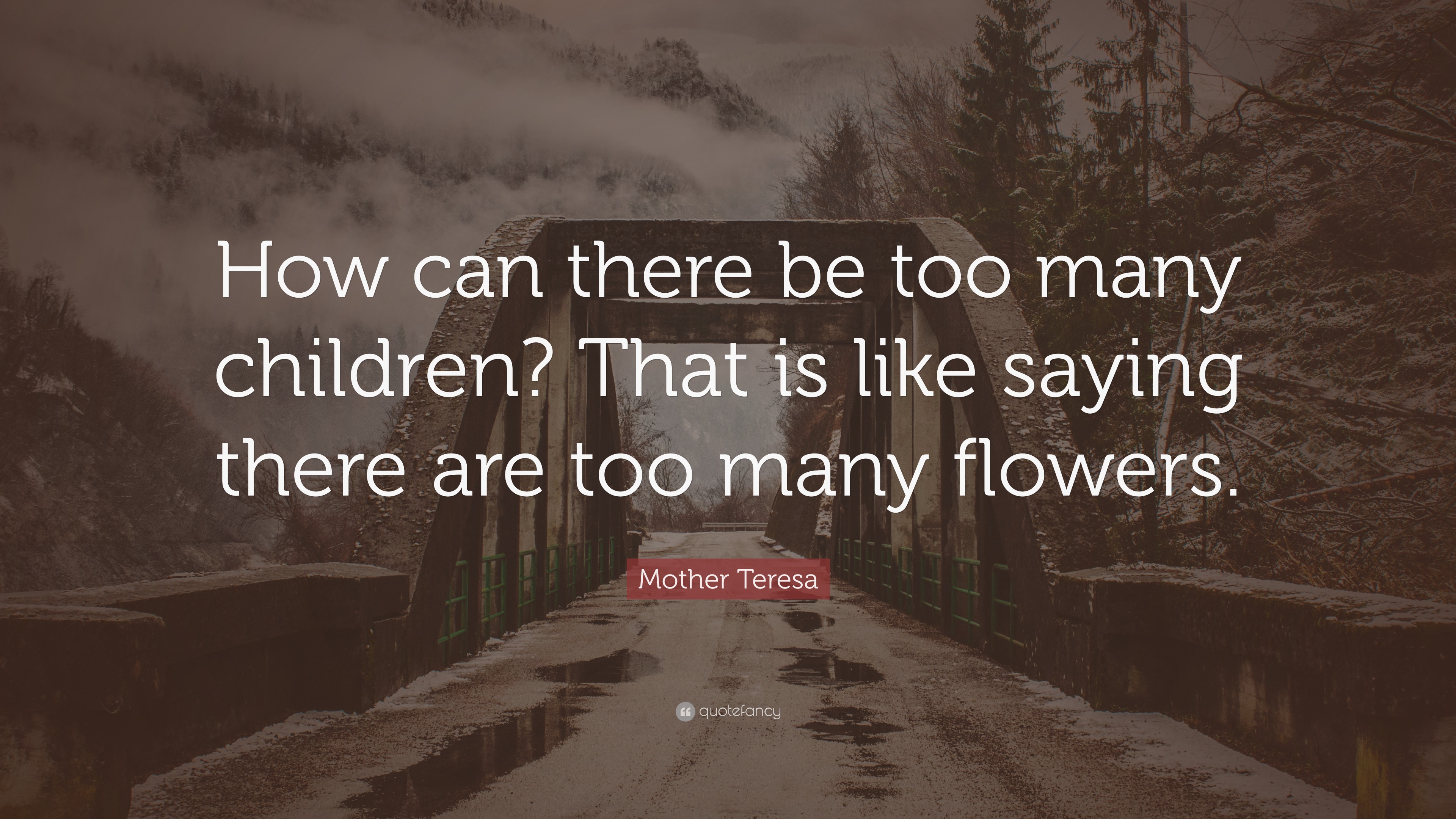 Mother Teresa Quote: “How can there be too many children? That is like ...