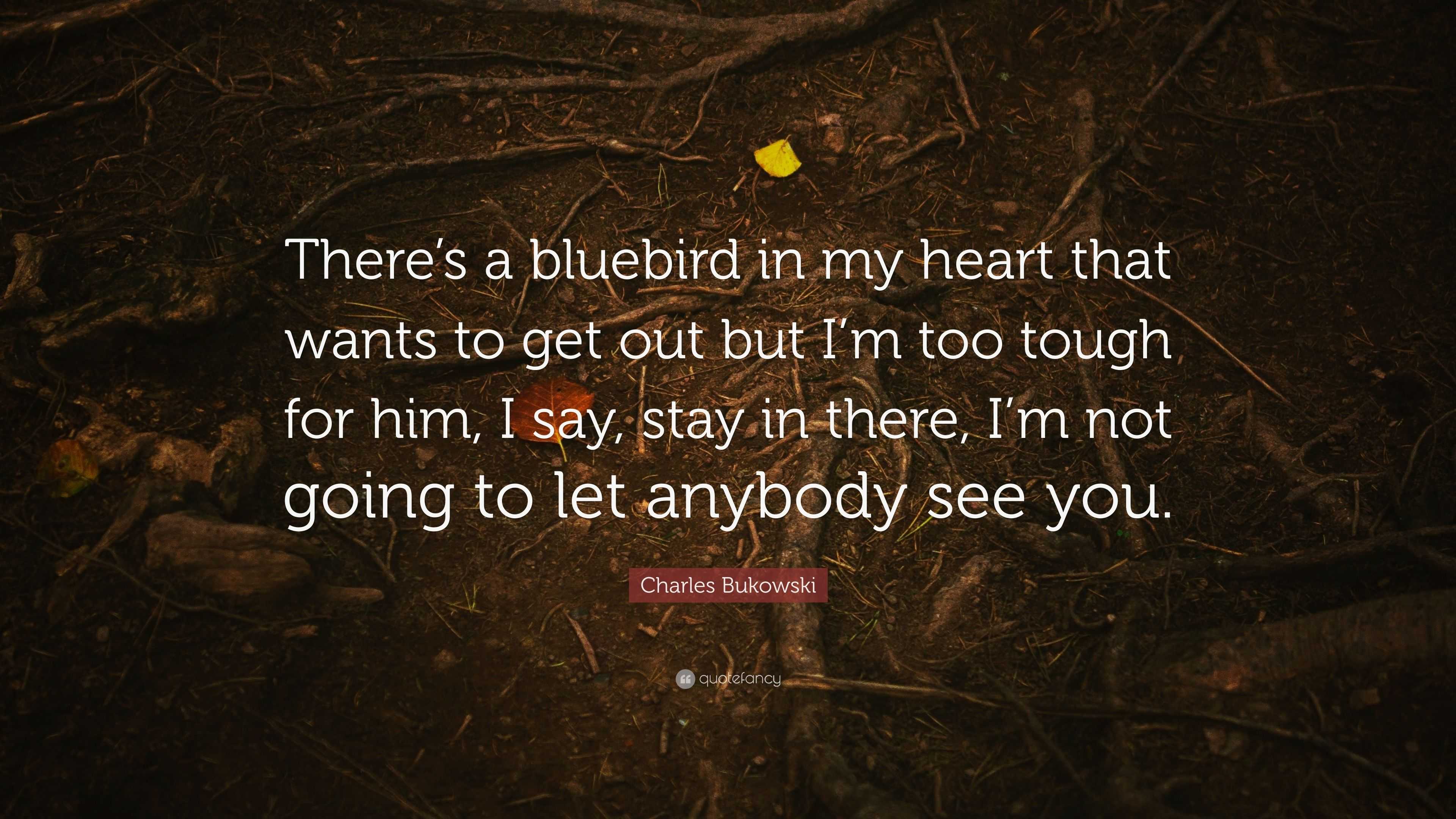 Charles Bukowski Quote: “There’s a bluebird in my heart that wants to ...