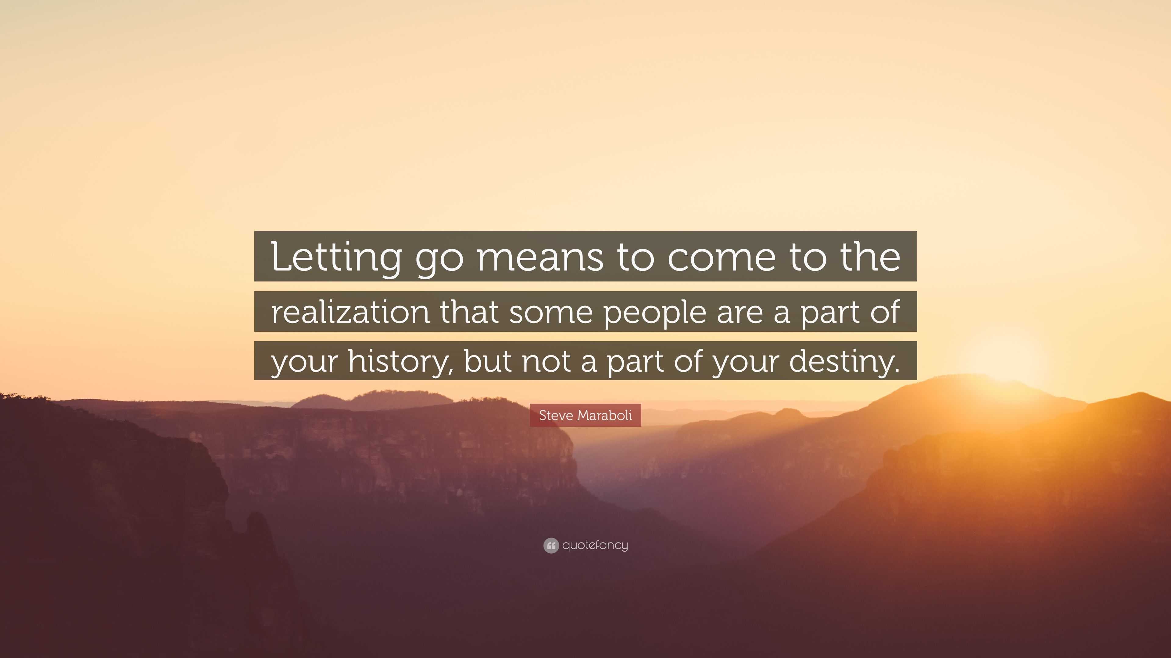 Steve Maraboli Quote: “Letting go means to come to the realization that ...