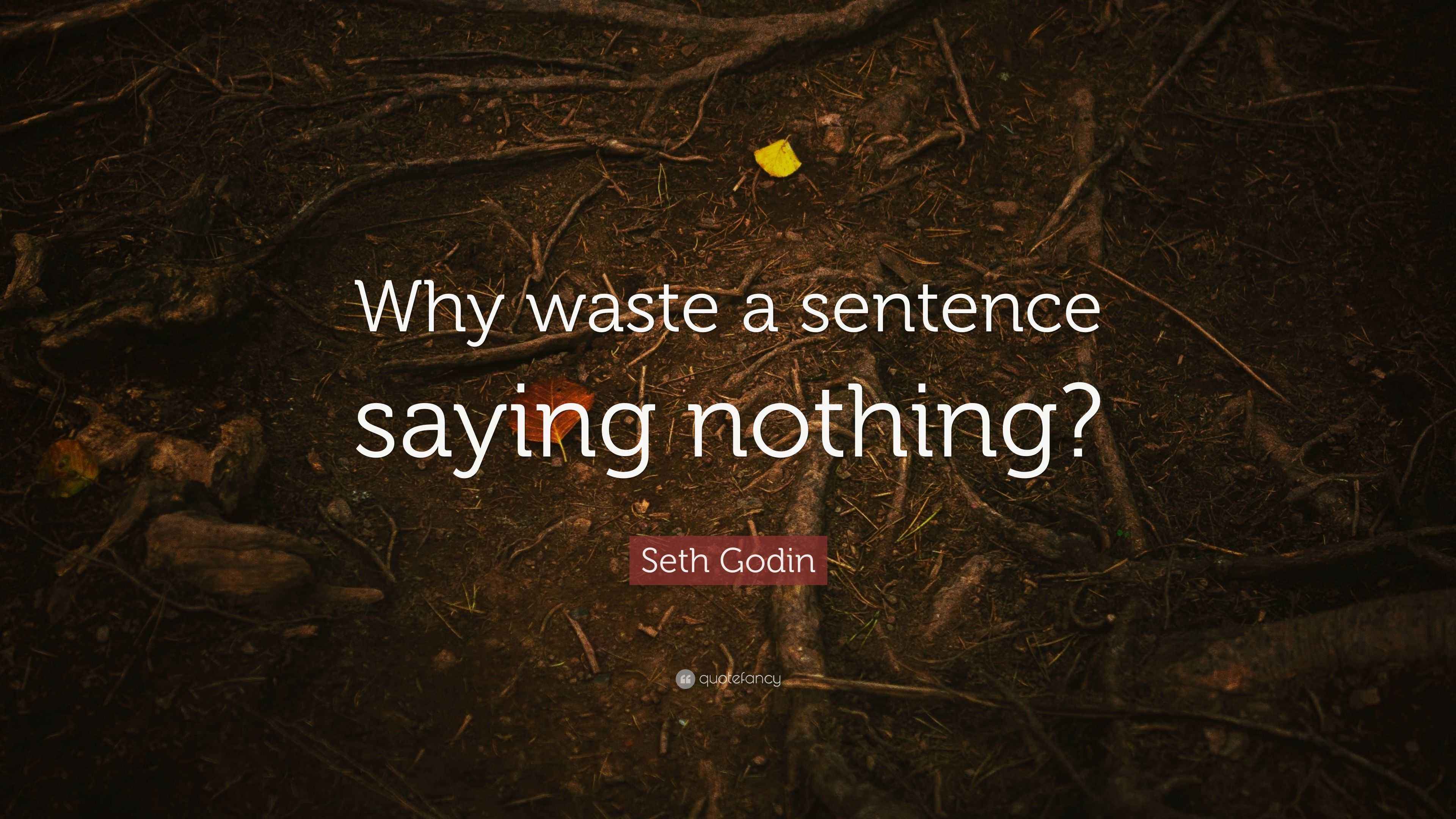 Seth Godin Quote: “Why waste a sentence saying nothing?”