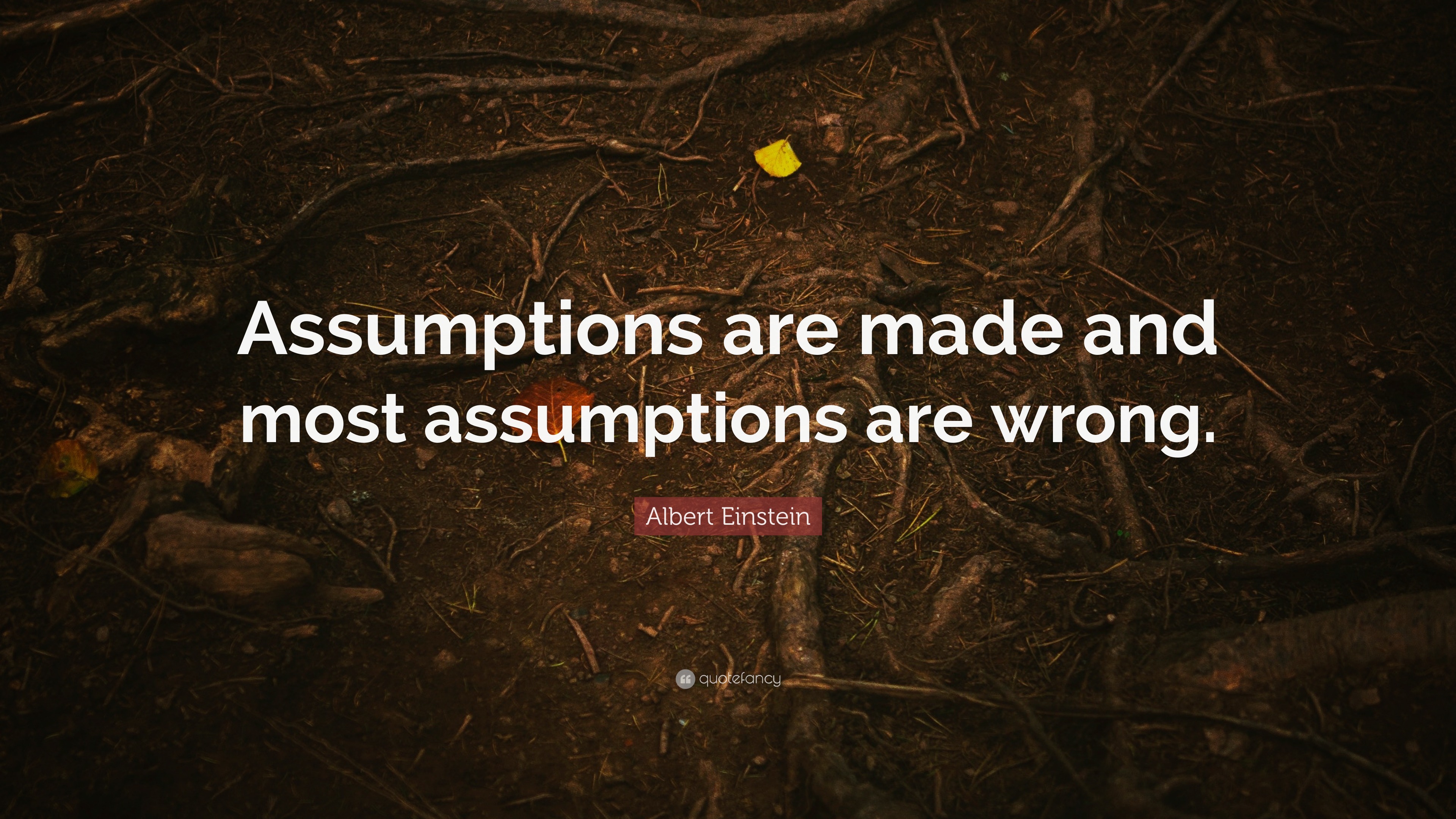 Albert Einstein Quote: “Assumptions are made and most assumptions are ...