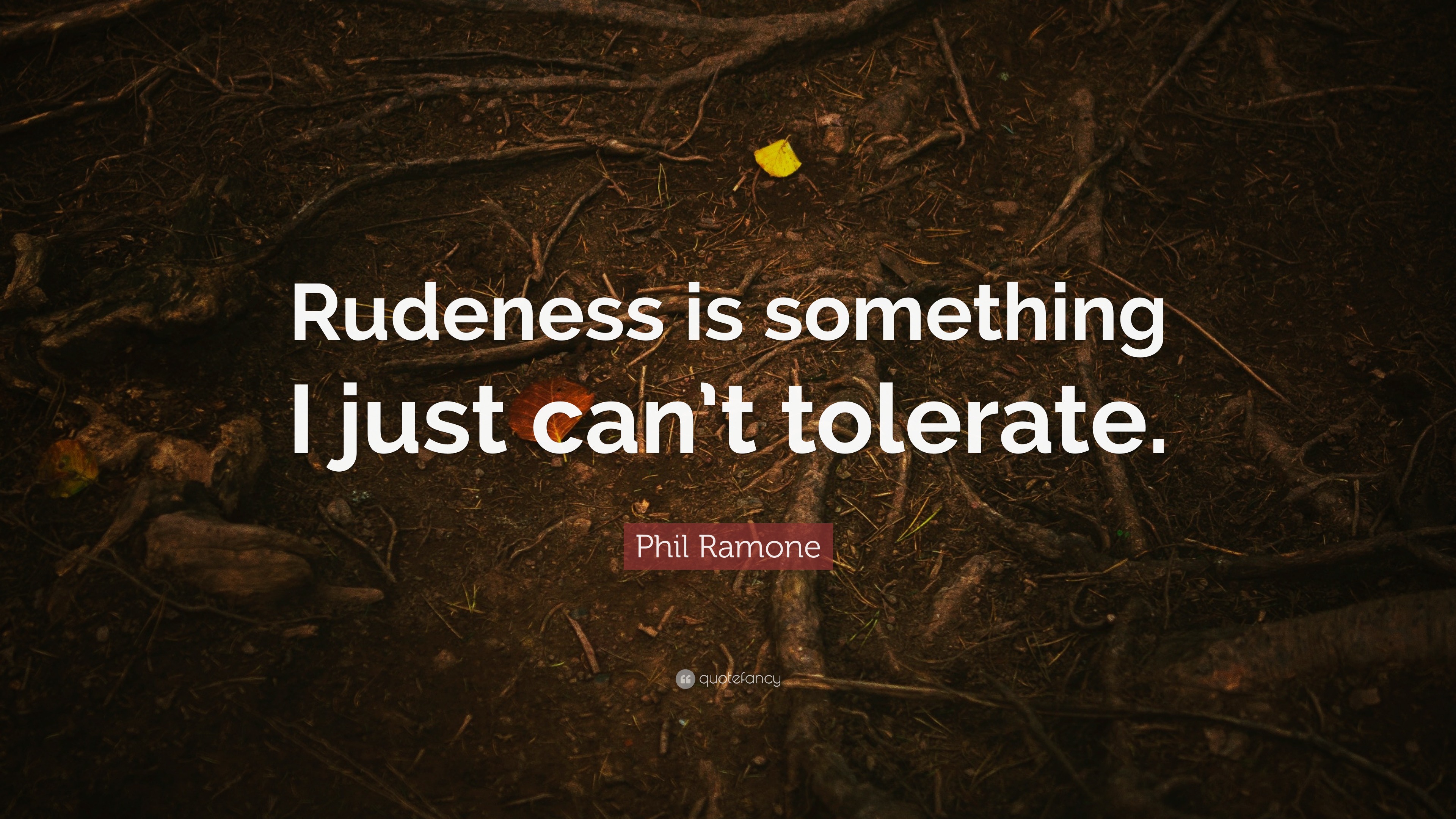Phil Ramone Quote: “Rudeness is something I just can’t tolerate.”