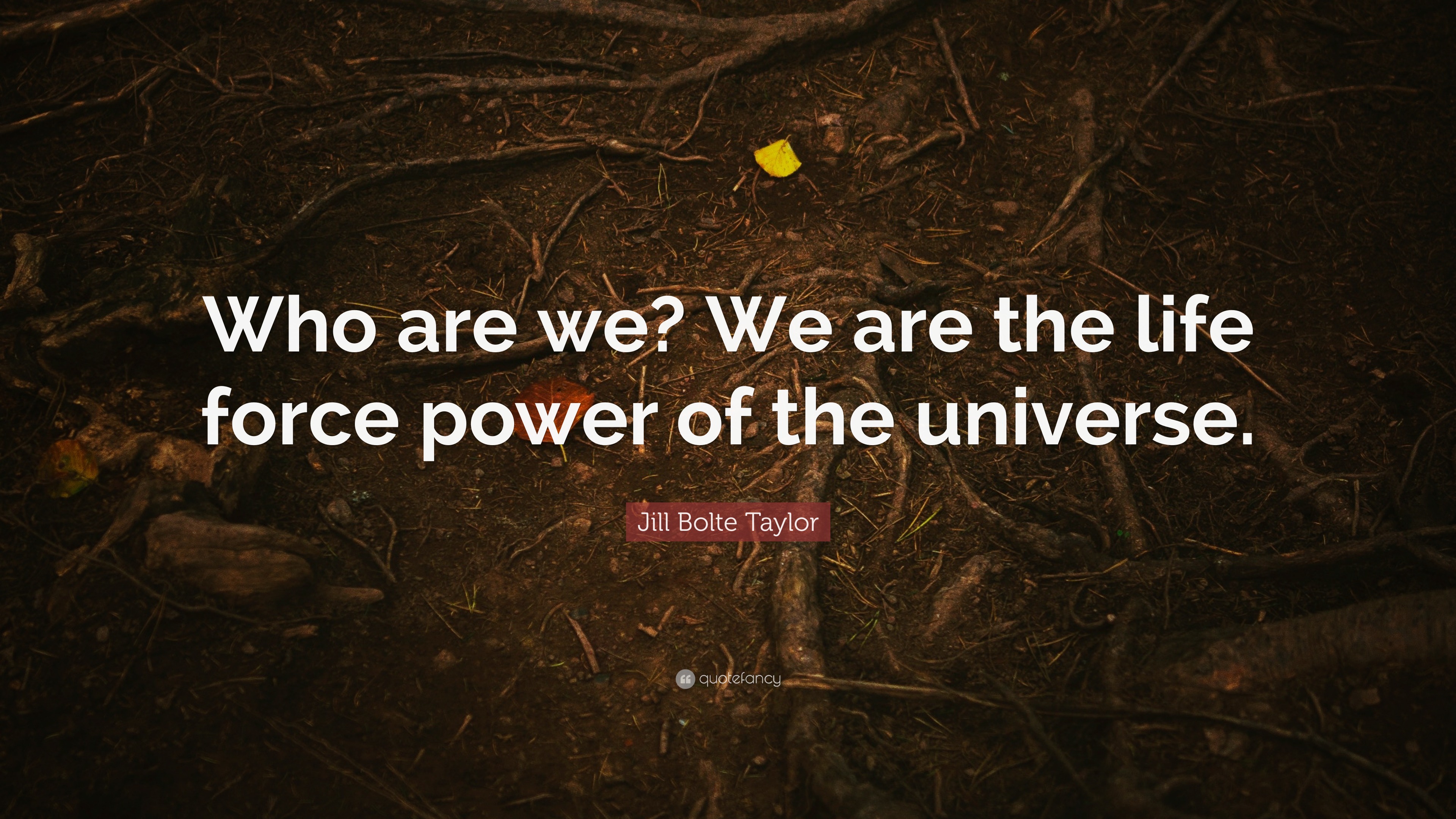 Jill Bolte Taylor Quote: “Who are we? We are the life force power of ...