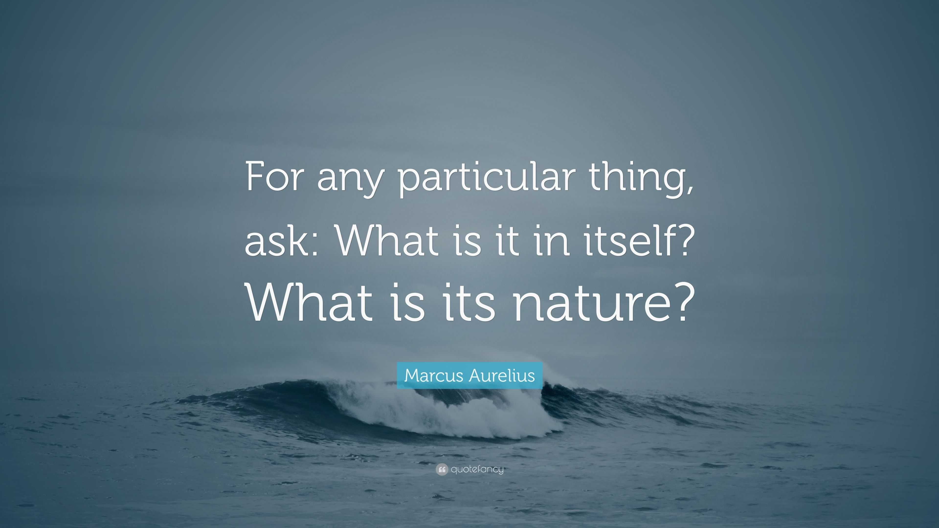 Marcus Aurelius Quote: “For any particular thing, ask: What is it in ...