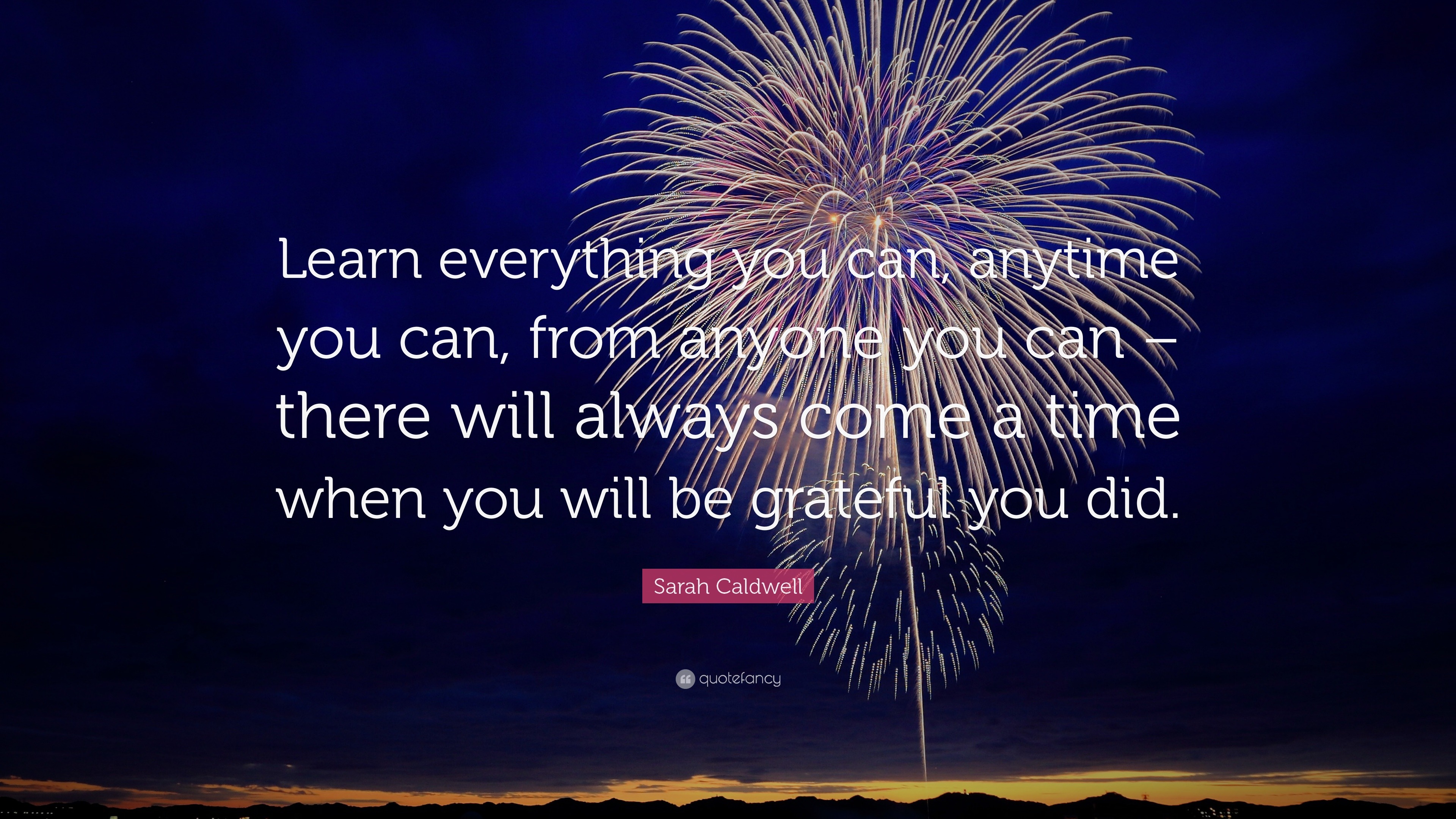 Sarah Caldwell Quote: “Learn everything you can, anytime you can, from ...