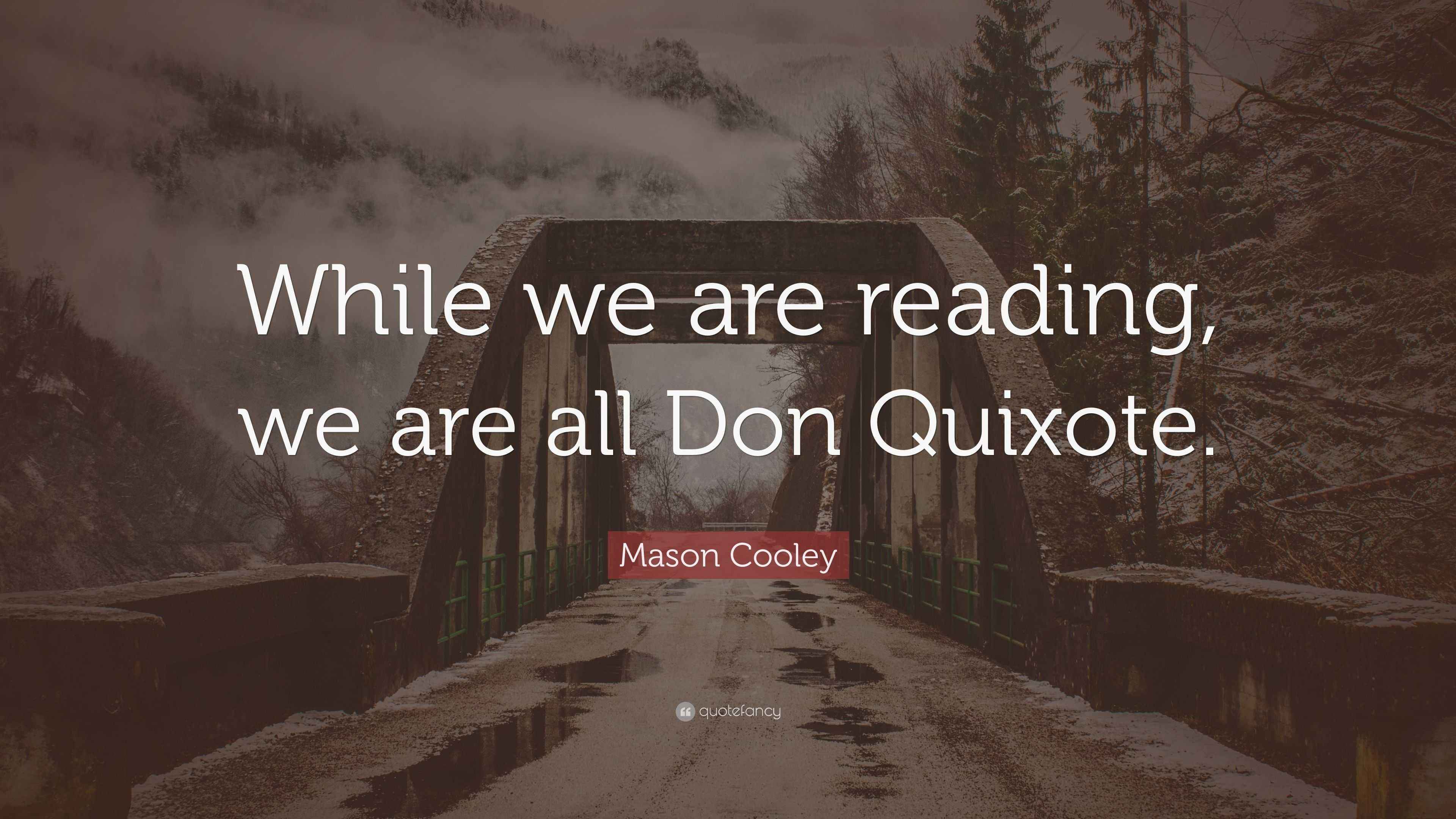 Mason Cooley Quote: “While we are reading, we are all Don Quixote.”