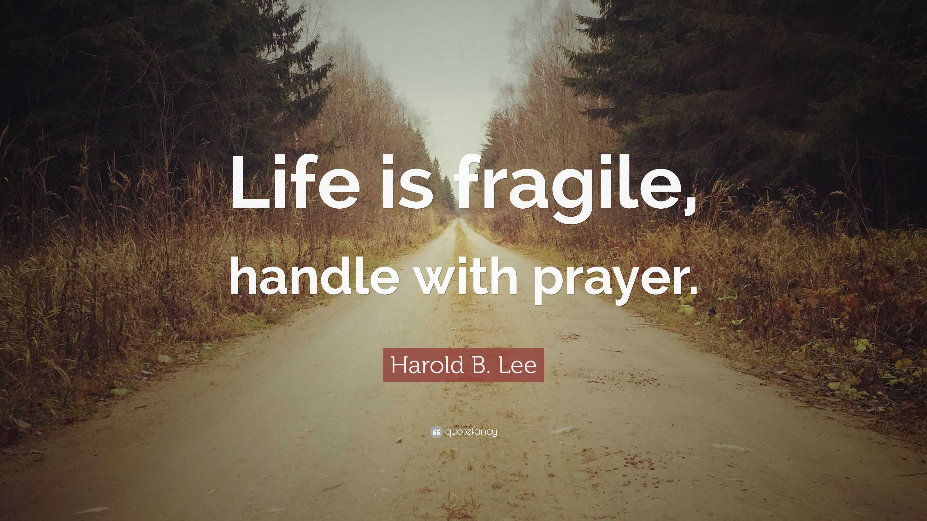 Harold B. Lee Quote: “Life is fragile, handle with prayer.”