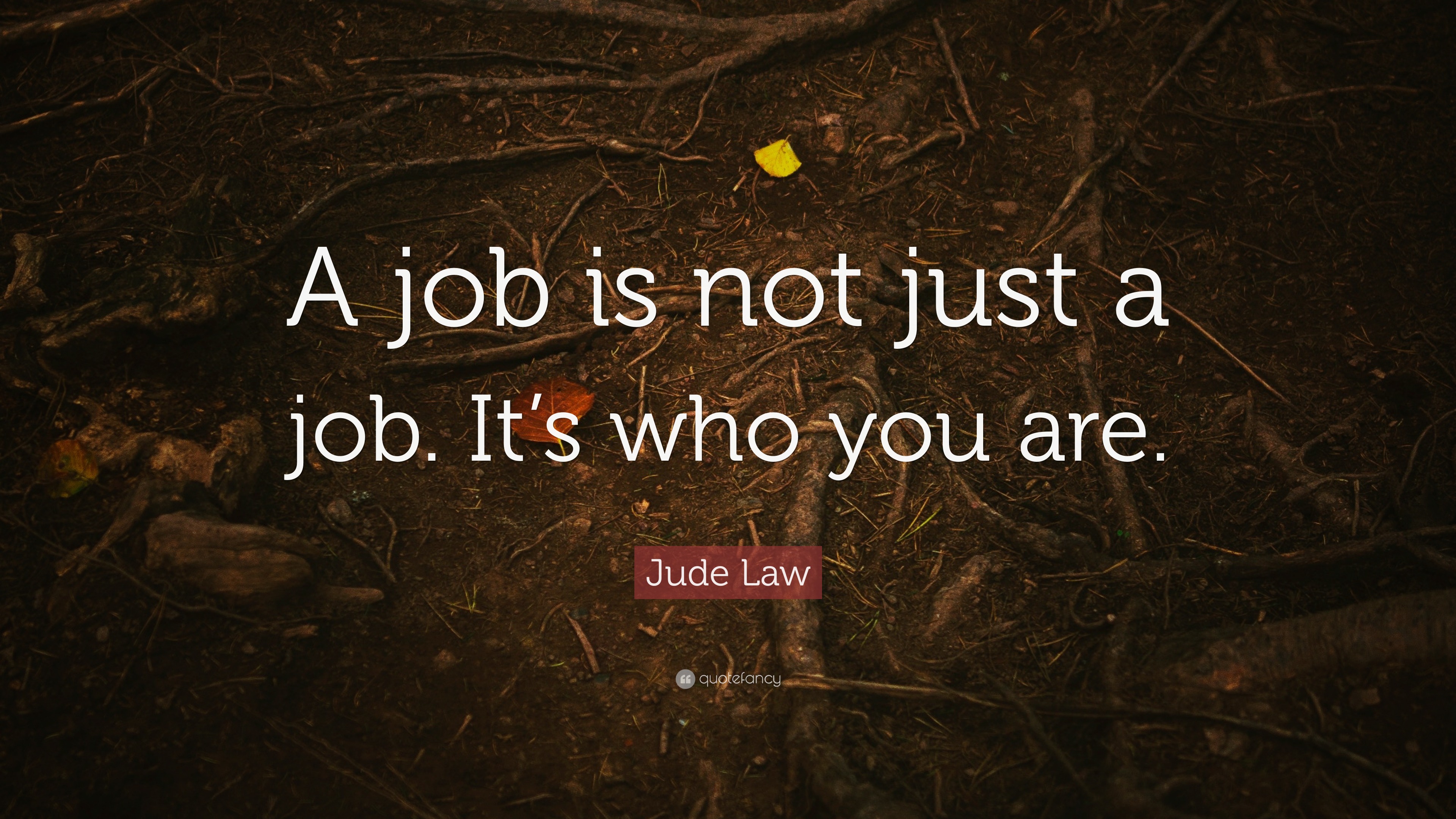 Jude Law Quote: “A job is not just a job. It’s who you are.”