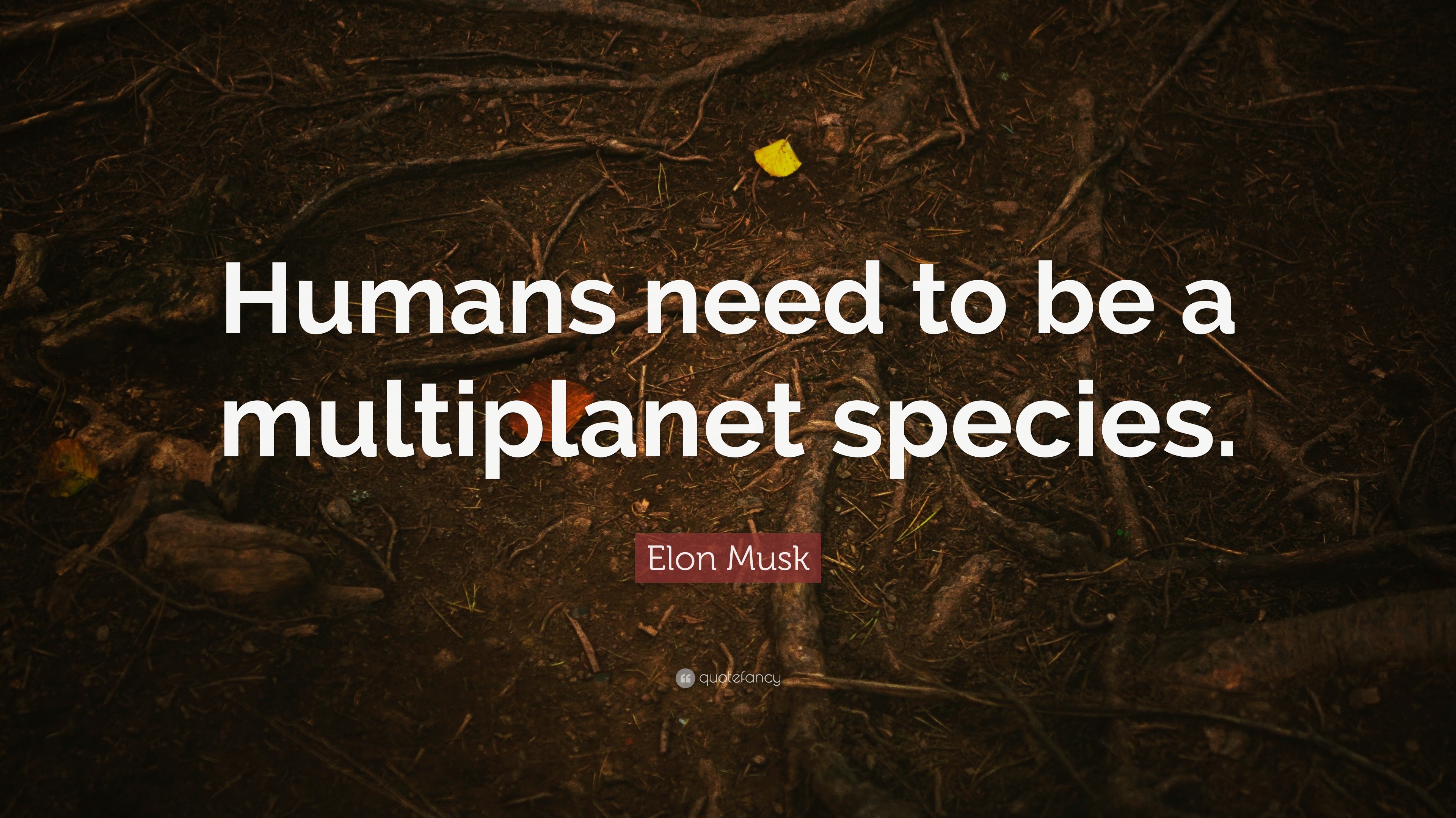 Elon Musk Quote: “Humans need to be a multiplanet species.”