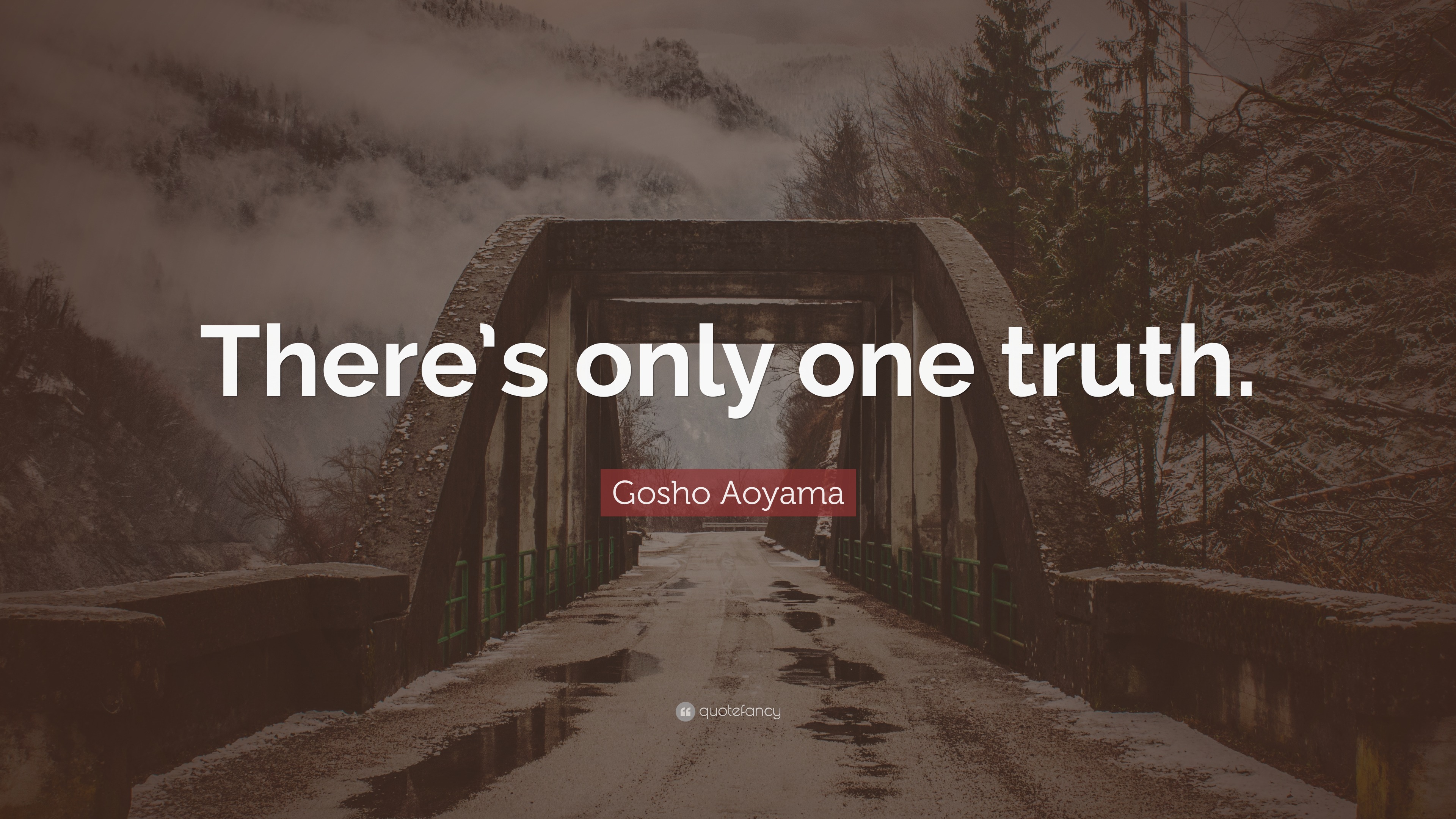 Gosho Aoyama Quote: “There’s only one truth.”