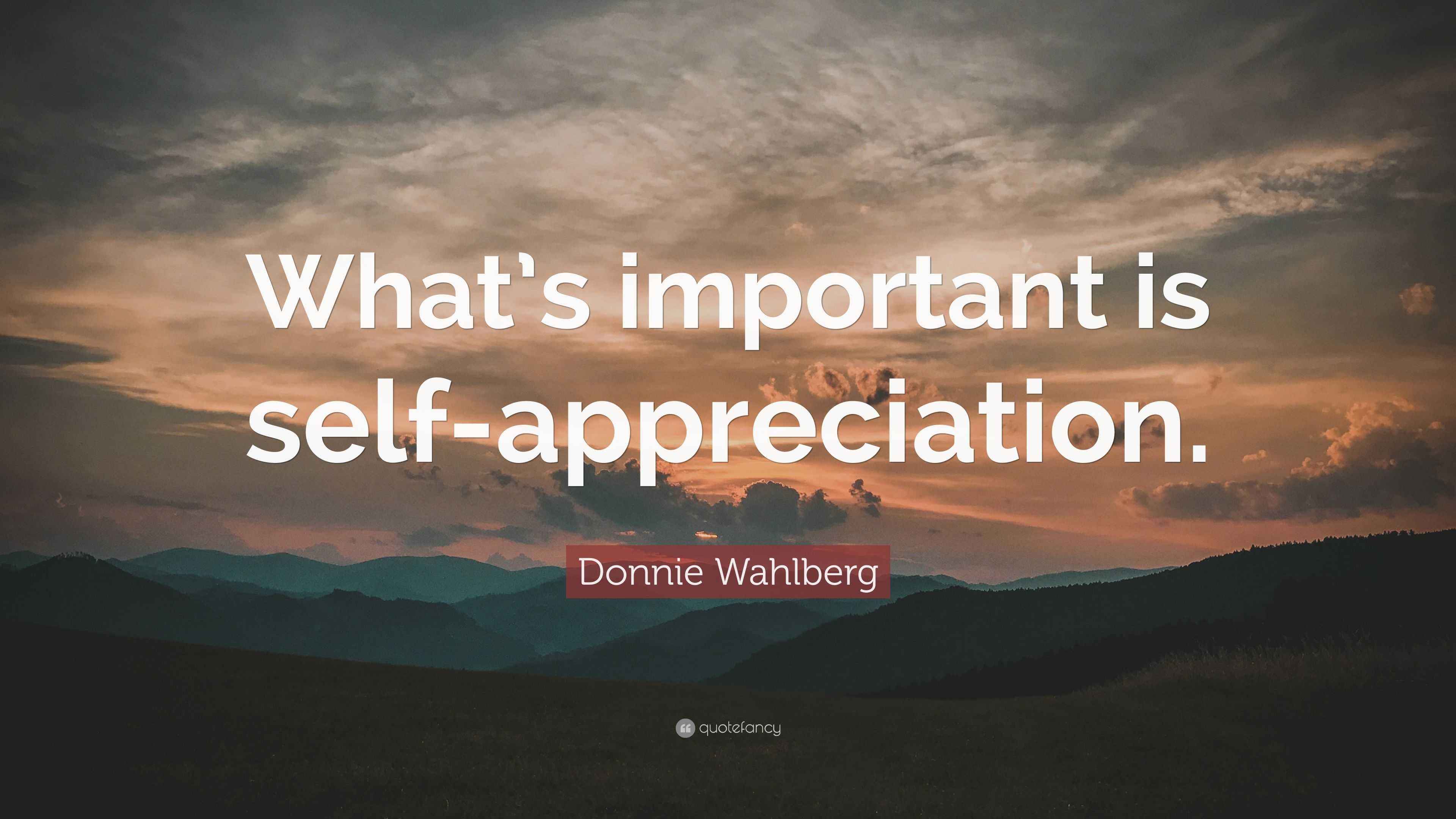 Donnie Wahlberg Quote: “What’s important is self-appreciation.”