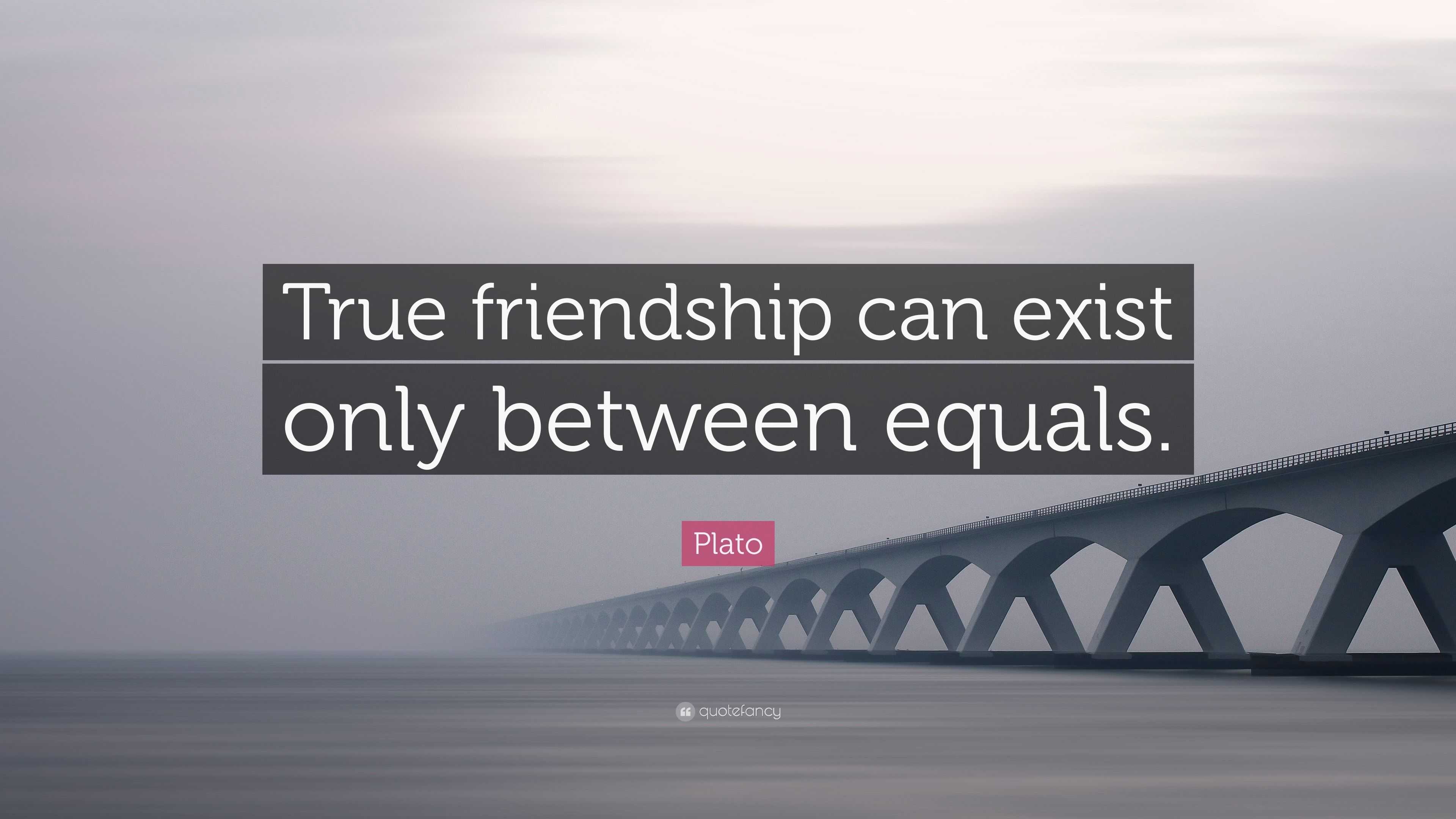 Plato Quote: “True friendship can exist only between equals.”