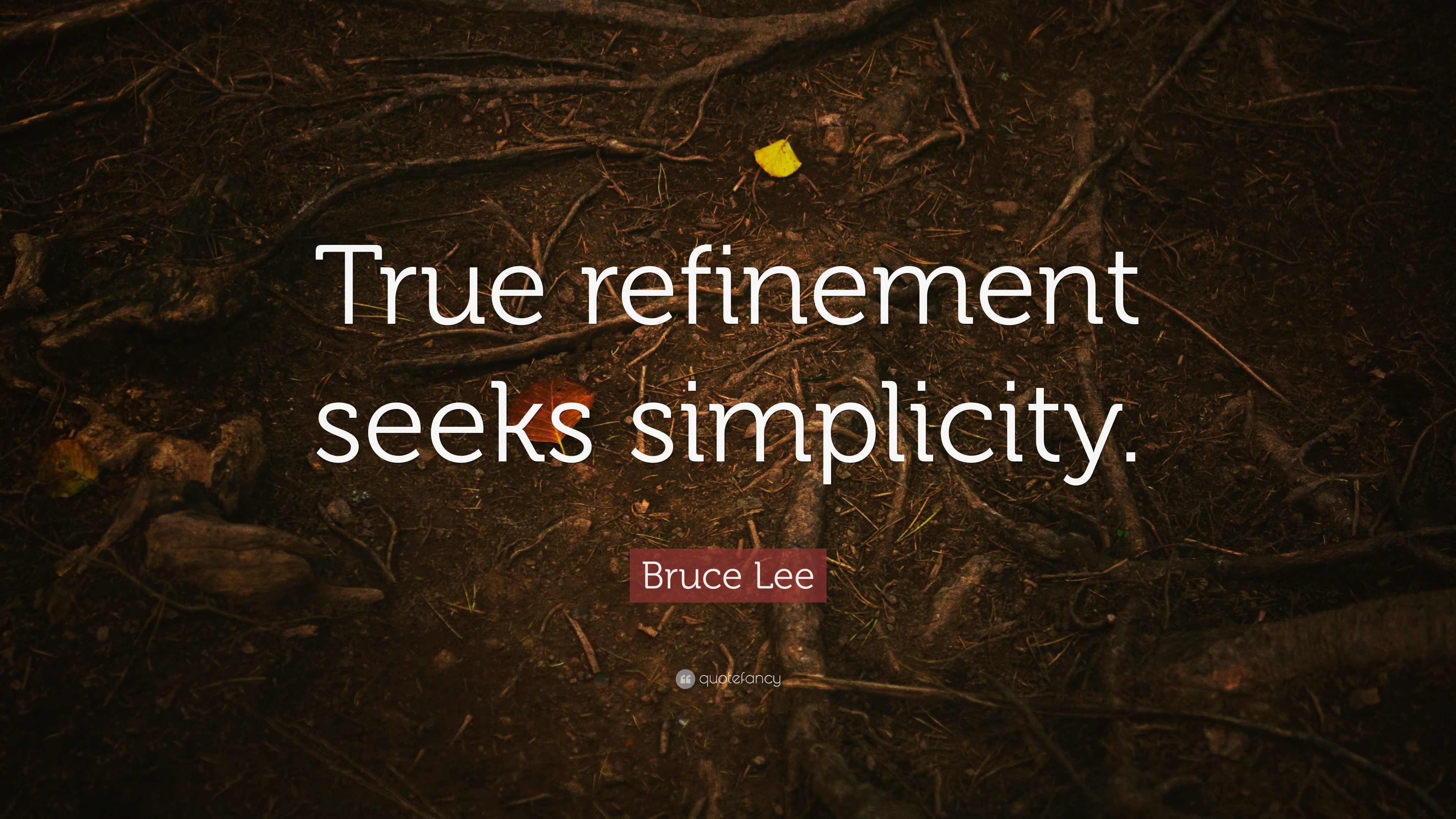 Bruce Lee Quote: “True refinement seeks simplicity.”