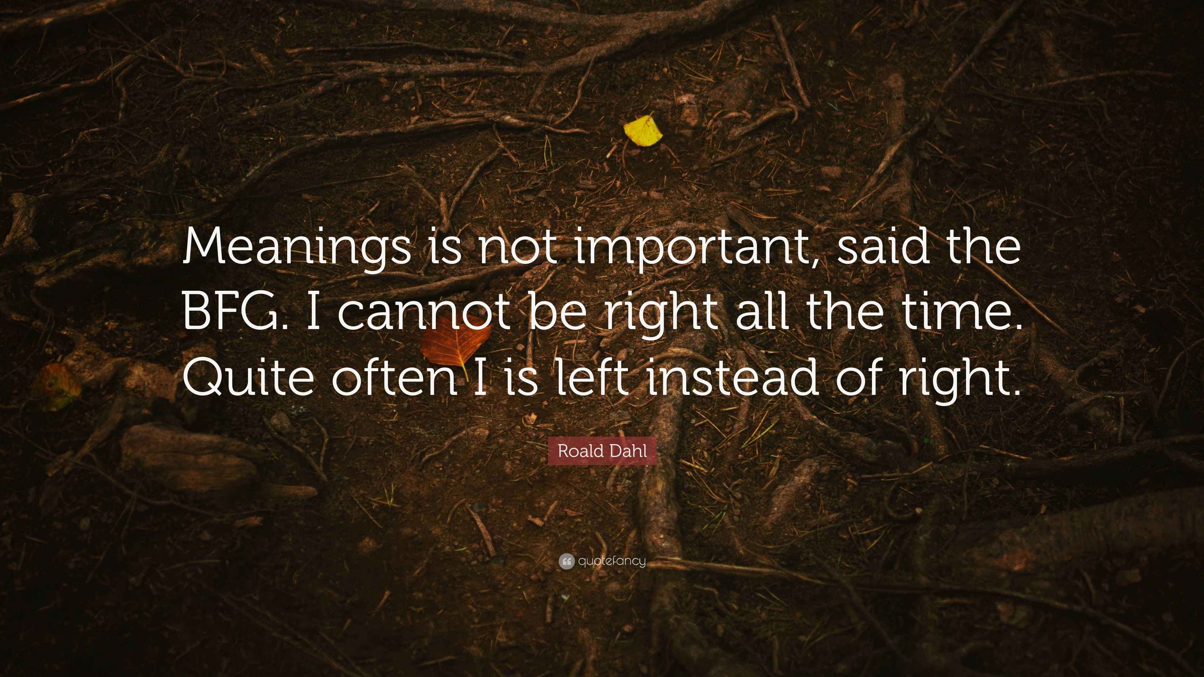 Roald Dahl Quote: “Meanings is not important, said the BFG. I cannot be ...