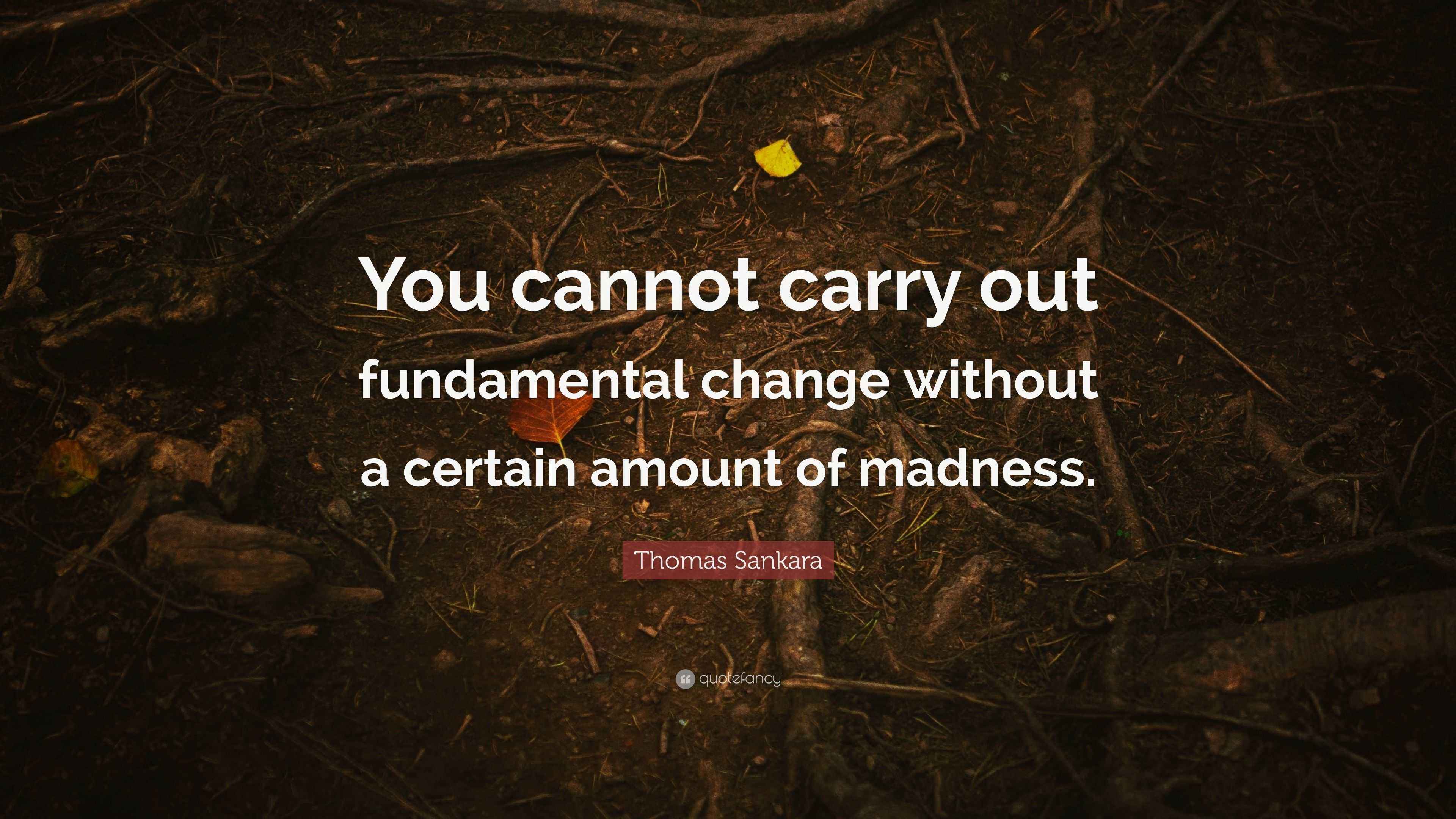 Thomas Sankara Quote: “You cannot carry out fundamental change without ...