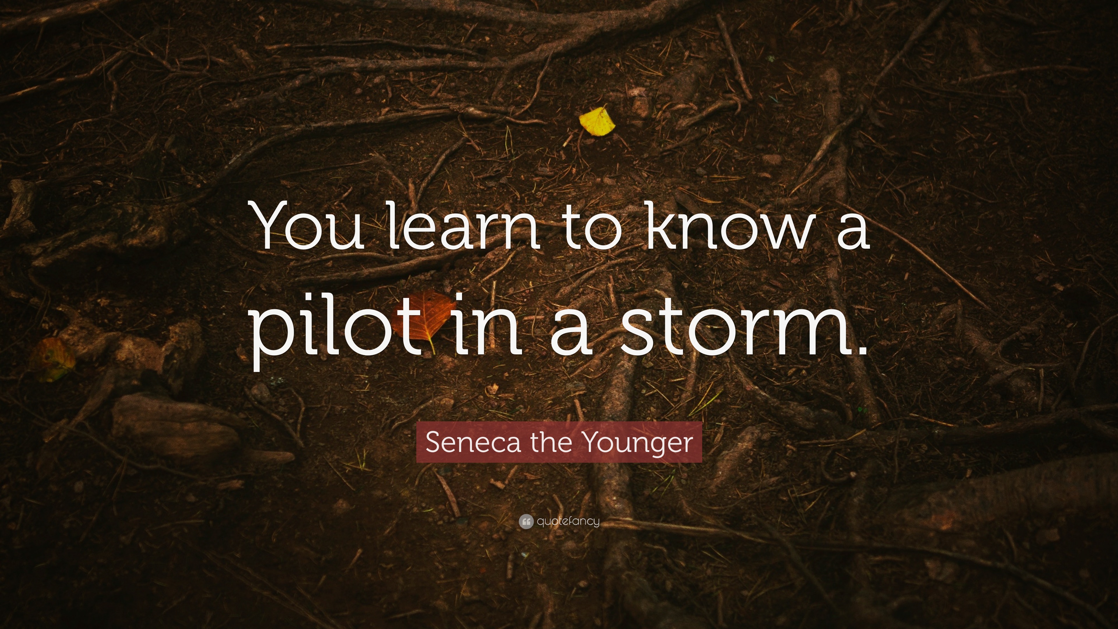 Seneca the Younger Quote: “You learn to know a pilot in a storm.”