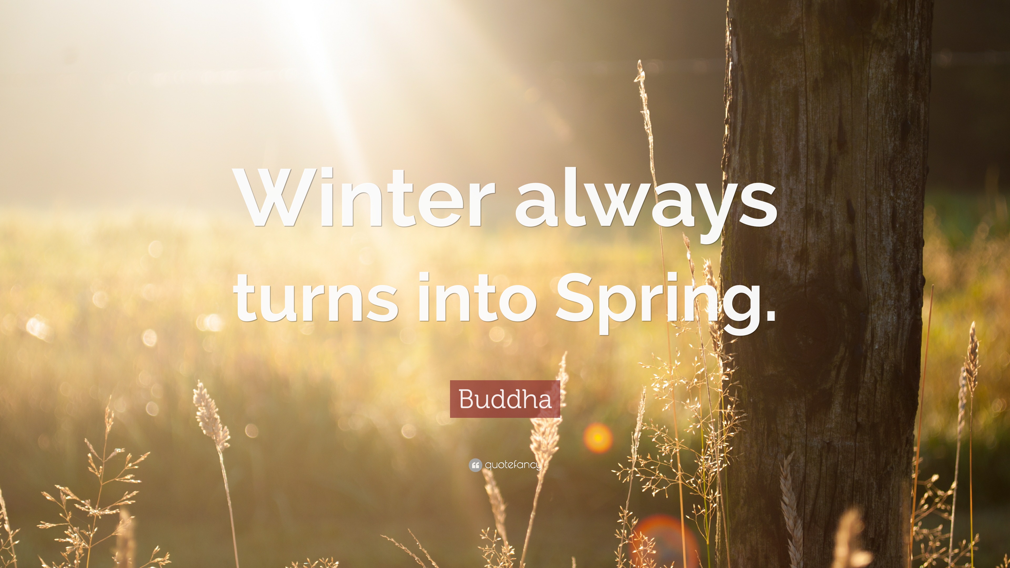 Buddha Quote: “Winter always turns into Spring.”