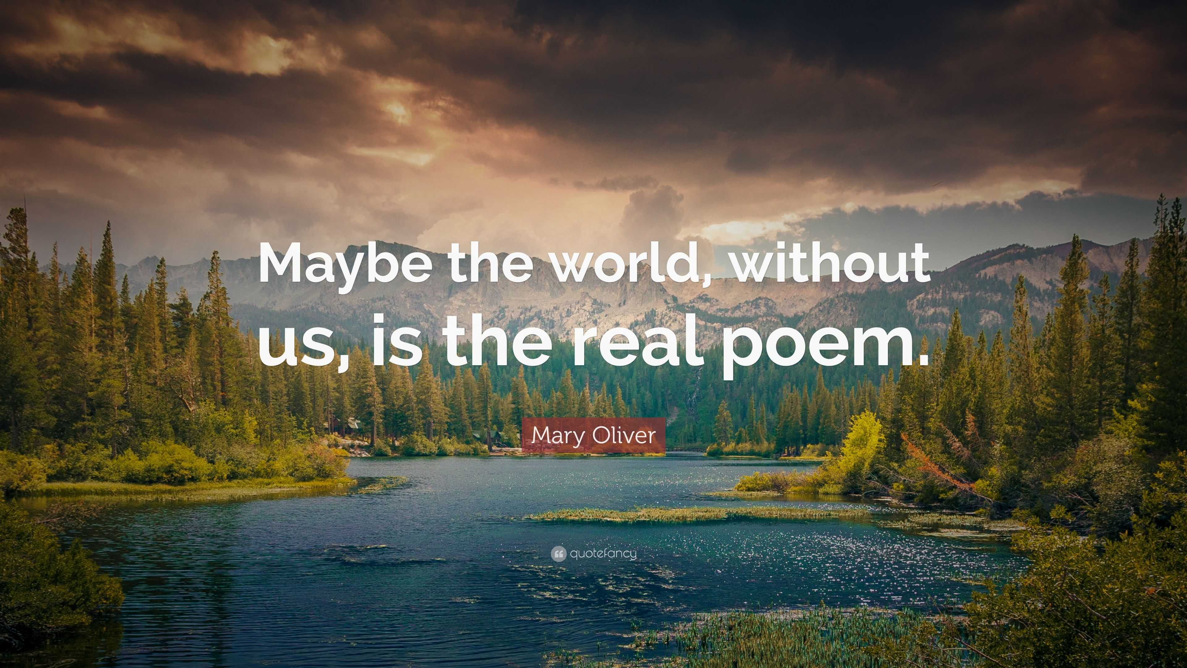 Mary Oliver Quote: “Maybe the world, without us, is the real poem.”