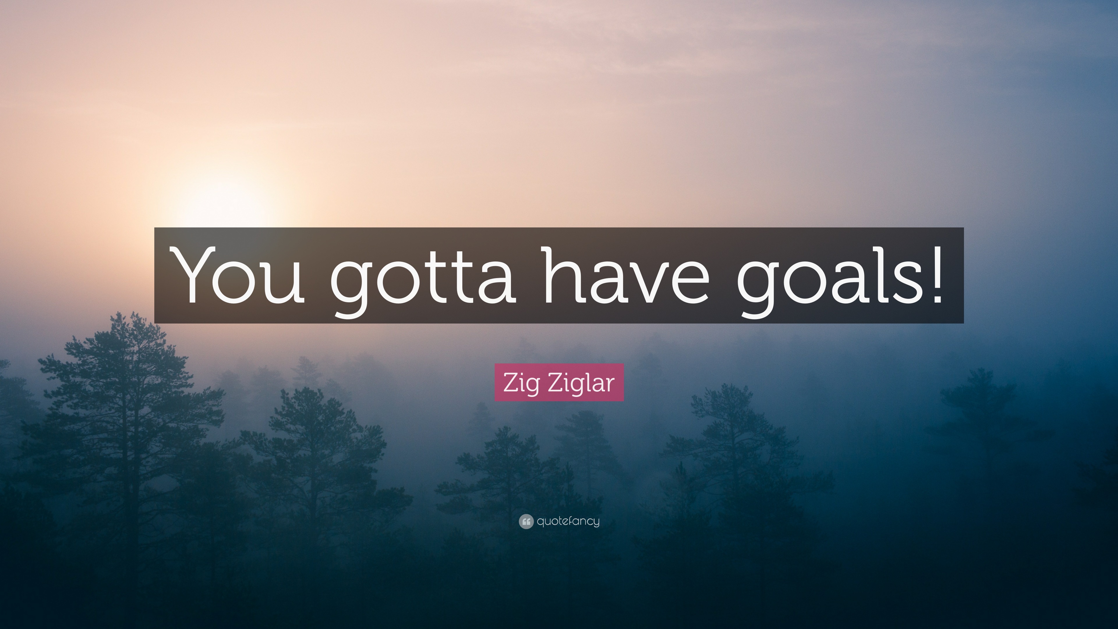 Zig Ziglar Quote: “You gotta have goals!”