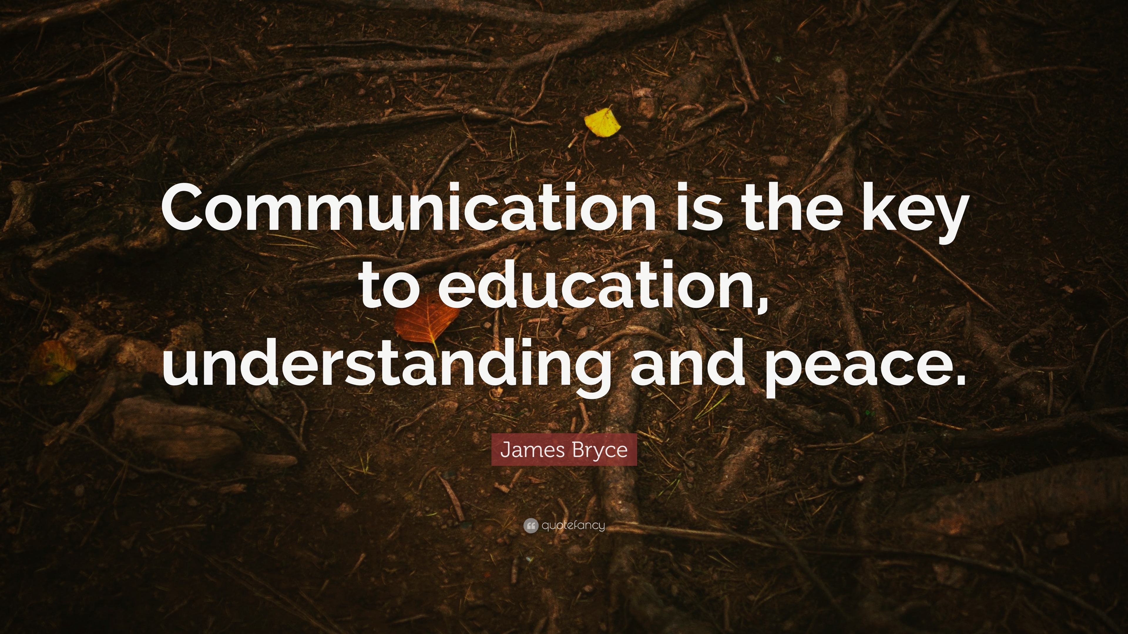 James Bryce Quote: “Communication is the key to education ...
