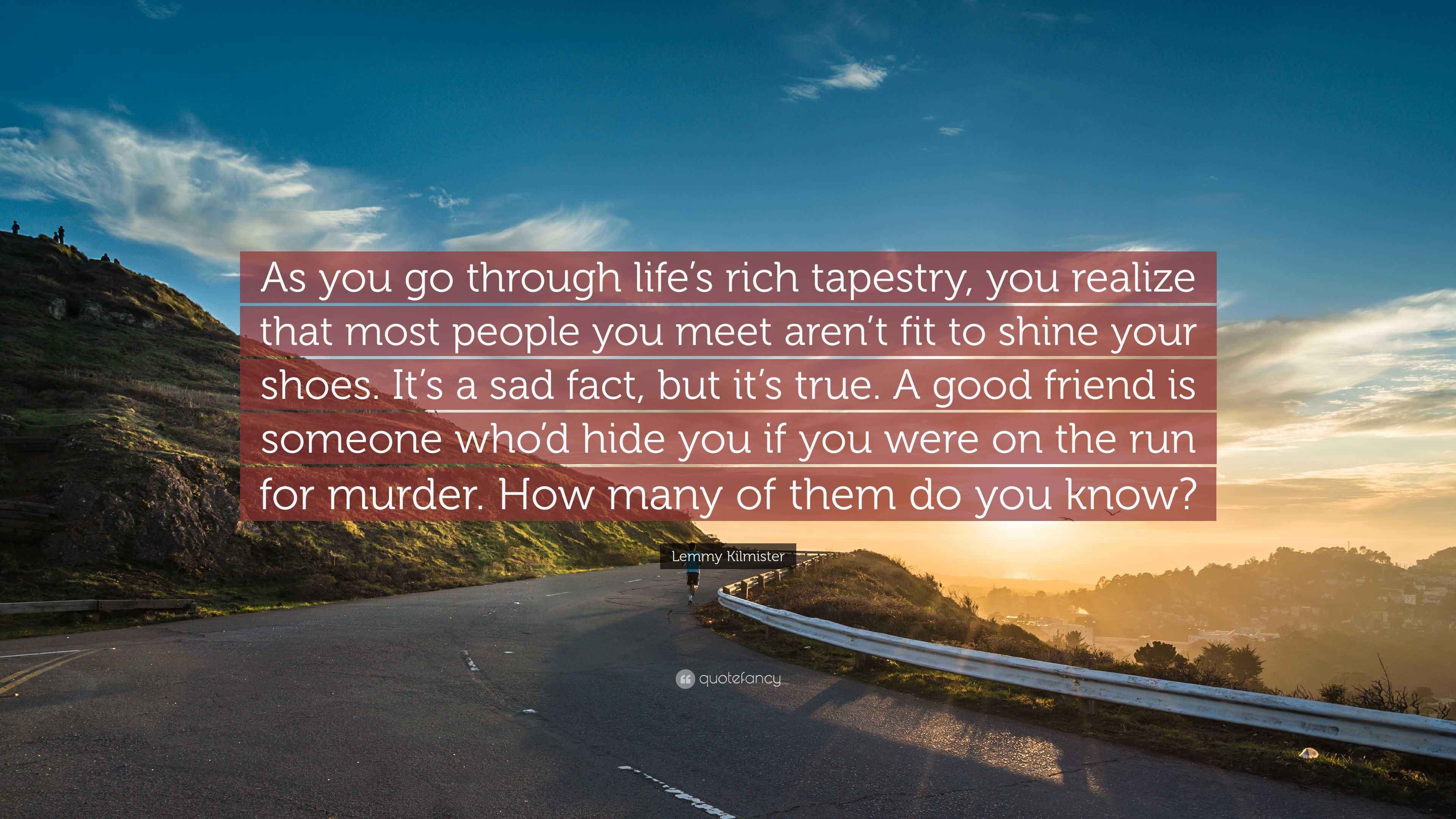 Lemmy Kilmister Quote: “As you go through life’s rich tapestry, you ...