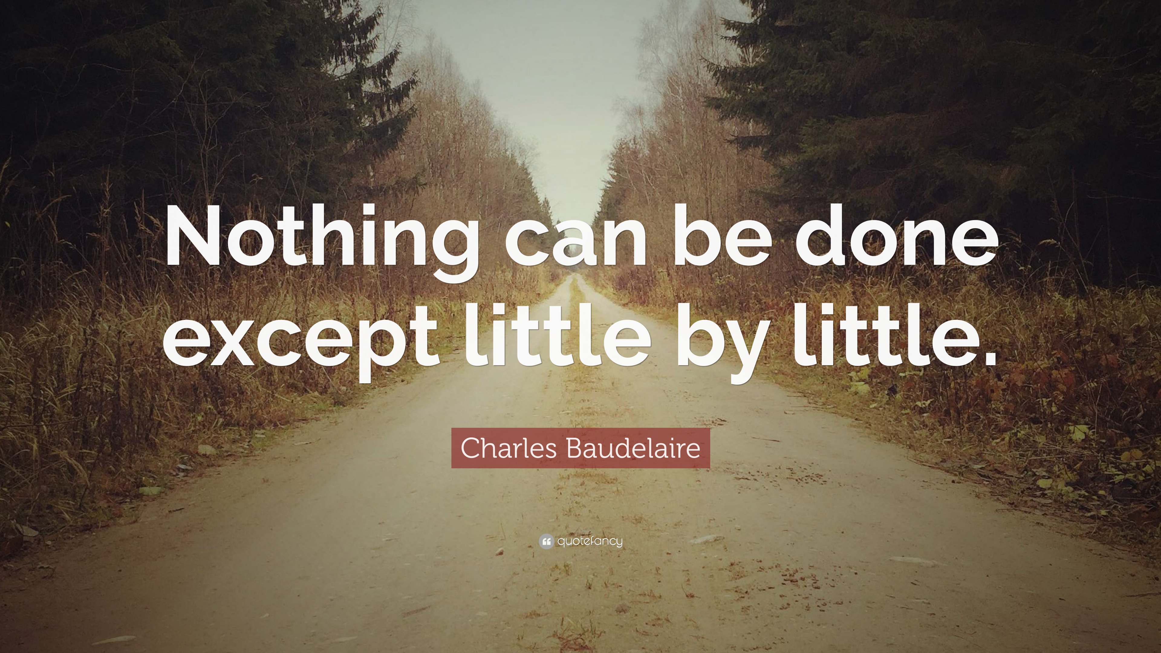 Charles Baudelaire Quote: “Nothing can be done except little by little.”