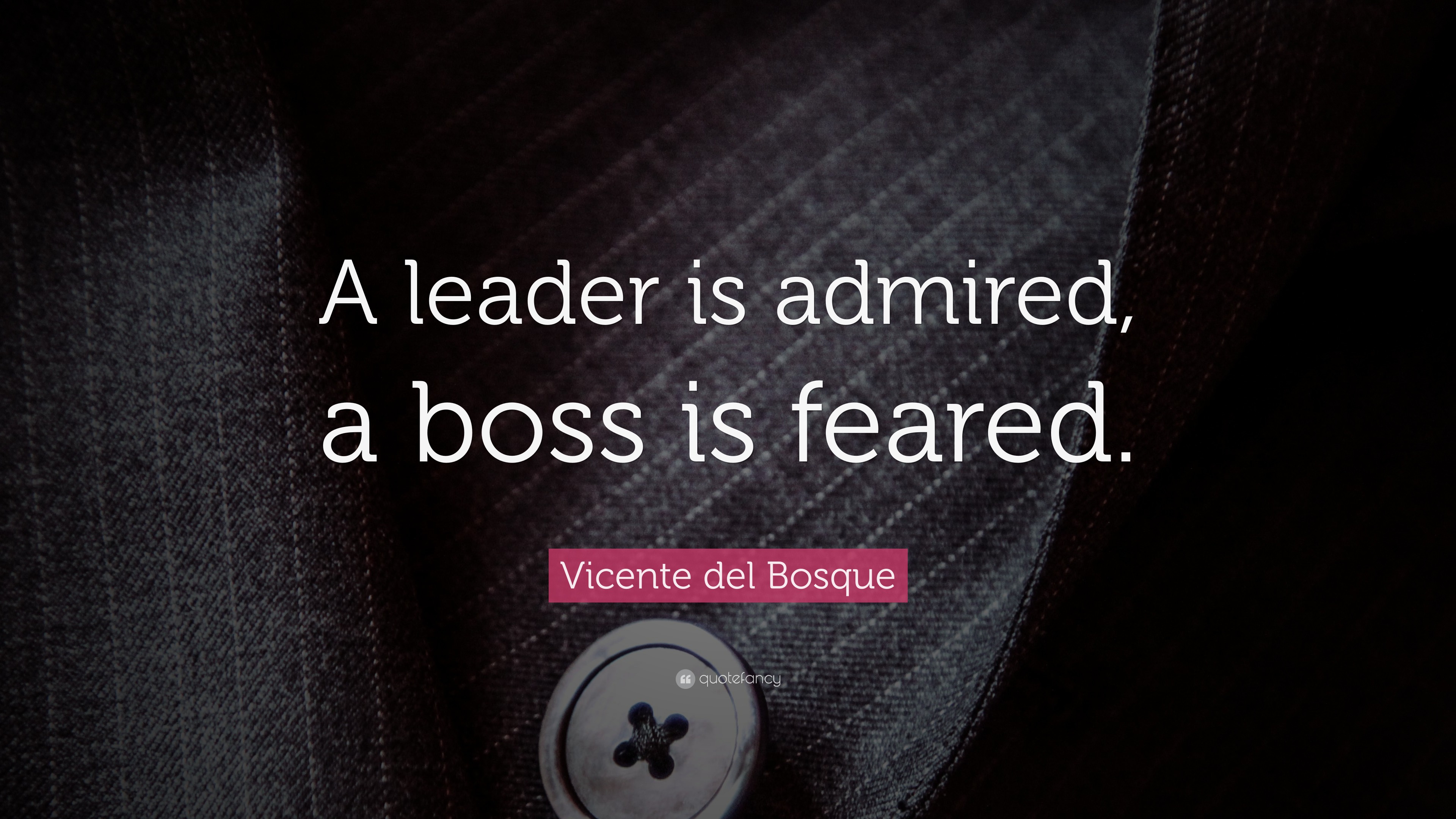 Vicente del Bosque Quote: “A leader is admired, a boss is feared.”