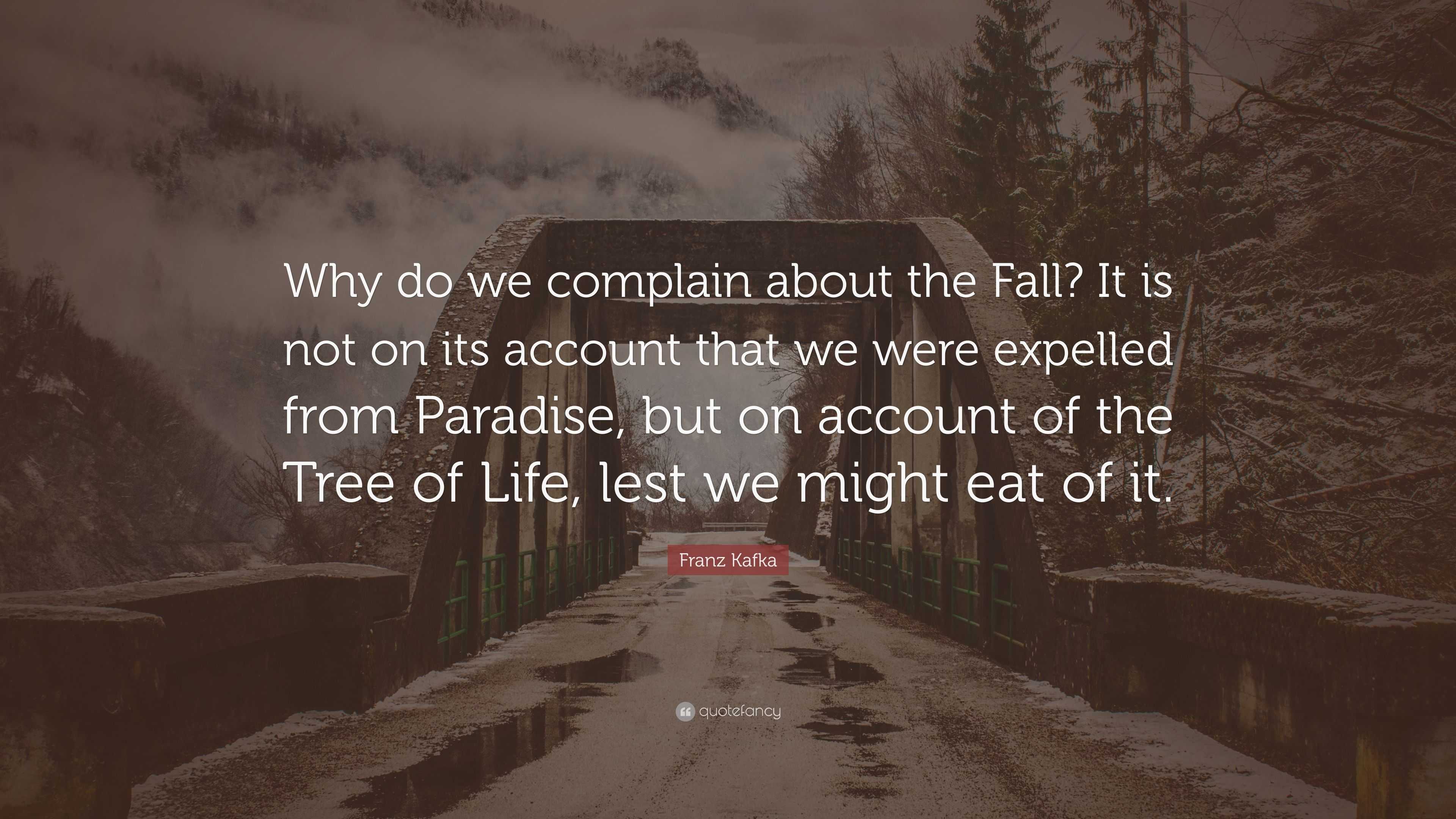 Franz Kafka Quote: “Why do we complain about the Fall? It is not on its ...