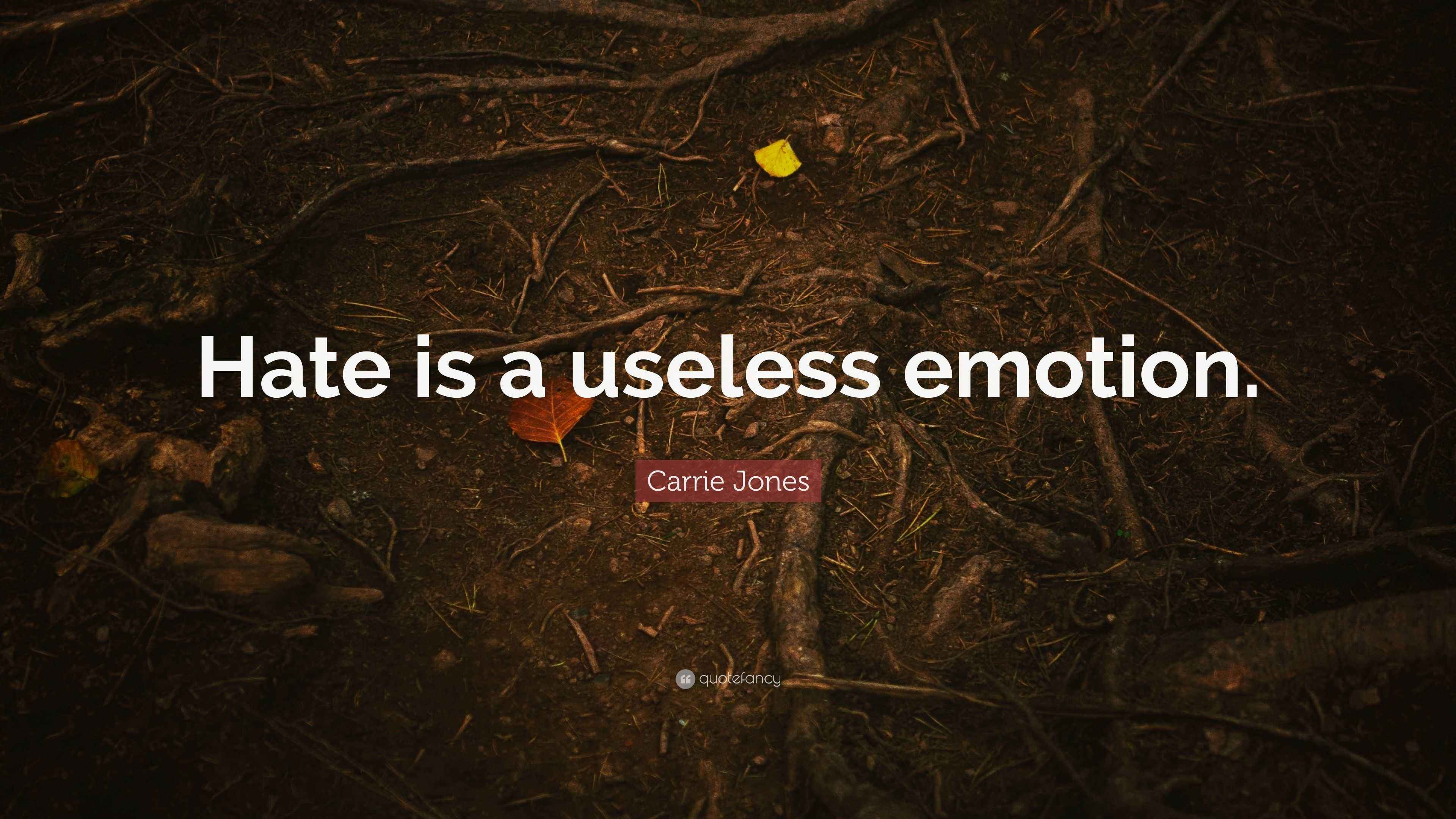 Carrie Jones Quote: “Hate is a useless emotion.”