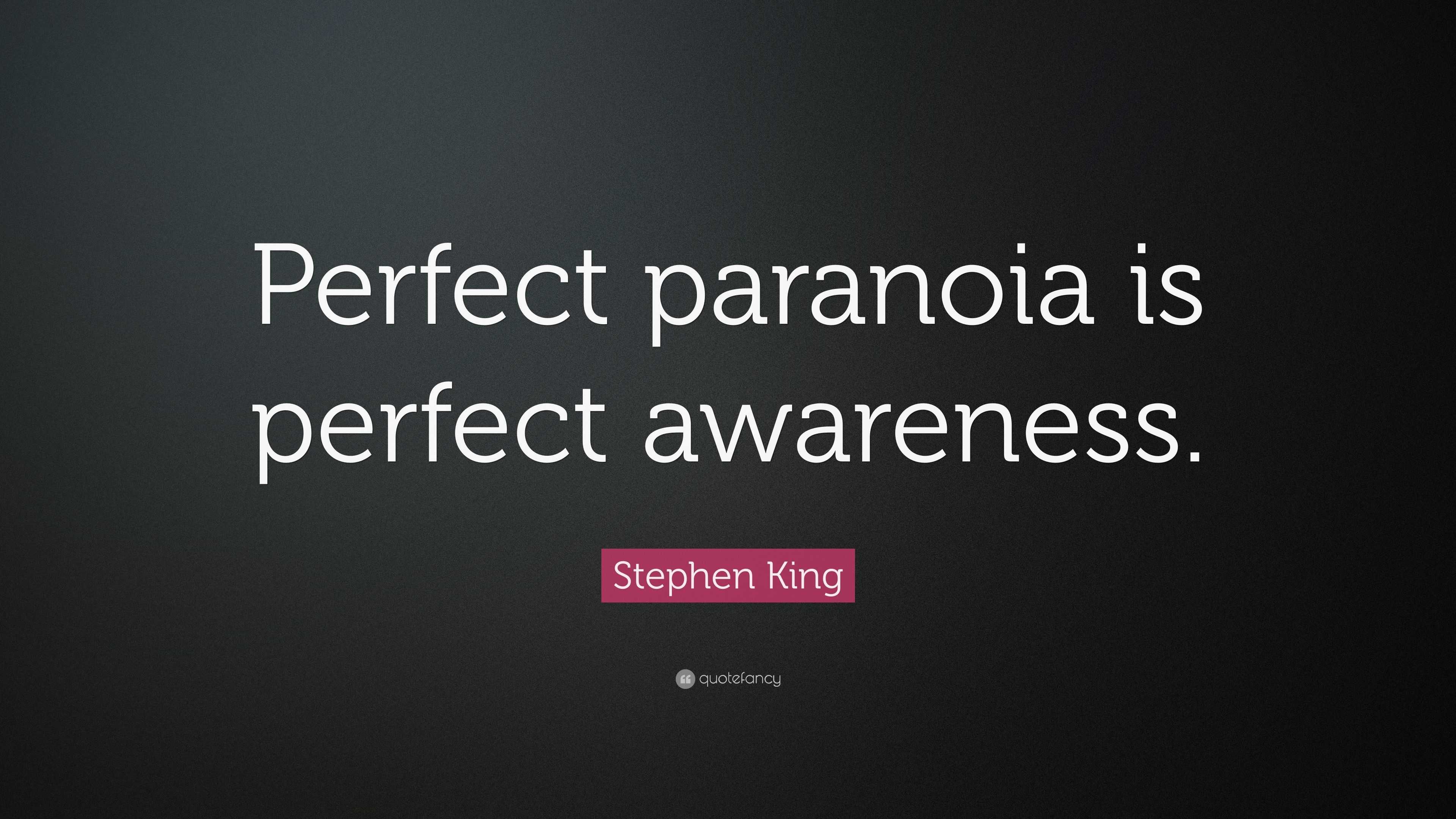 Stephen King Quote: “Perfect paranoia is perfect awareness.”
