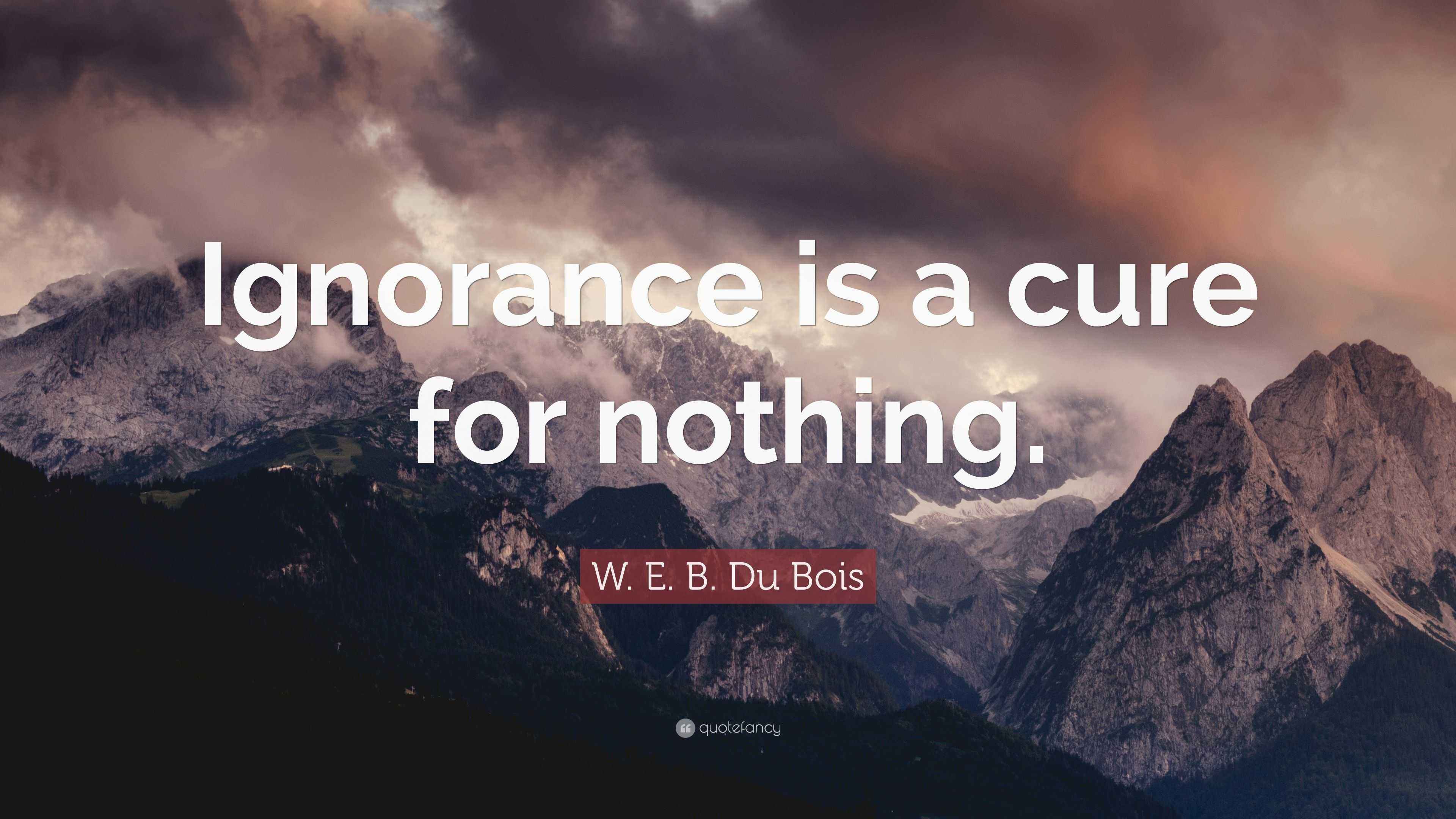 W. E. B. Du Bois Quote: “Ignorance is a cure for nothing.”