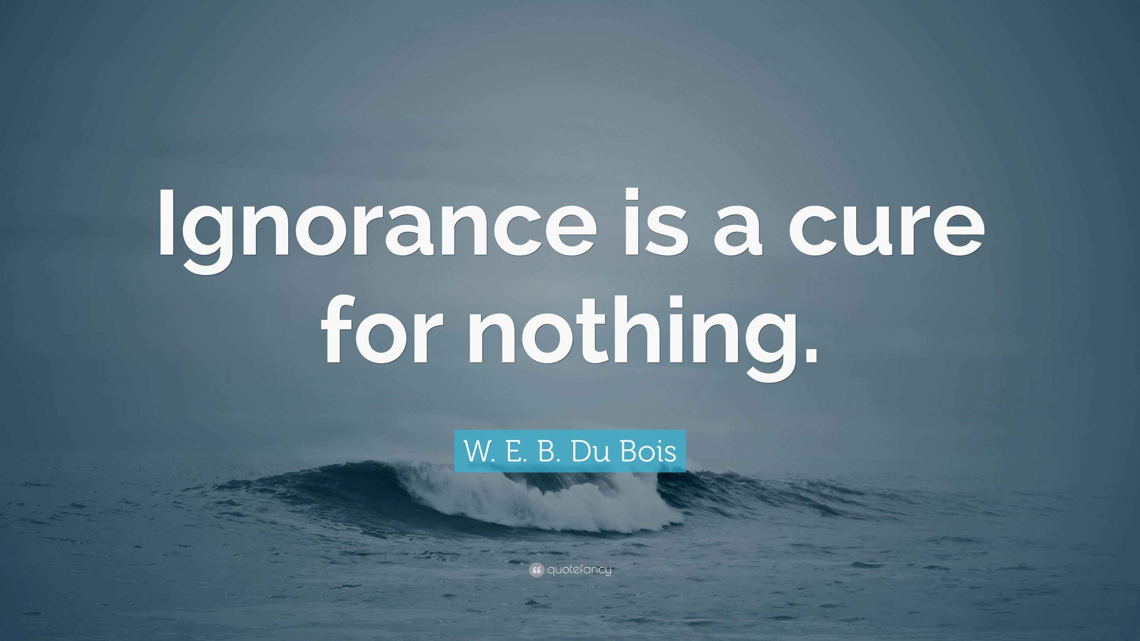 W. E. B. Du Bois Quote: “Ignorance is a cure for nothing.”