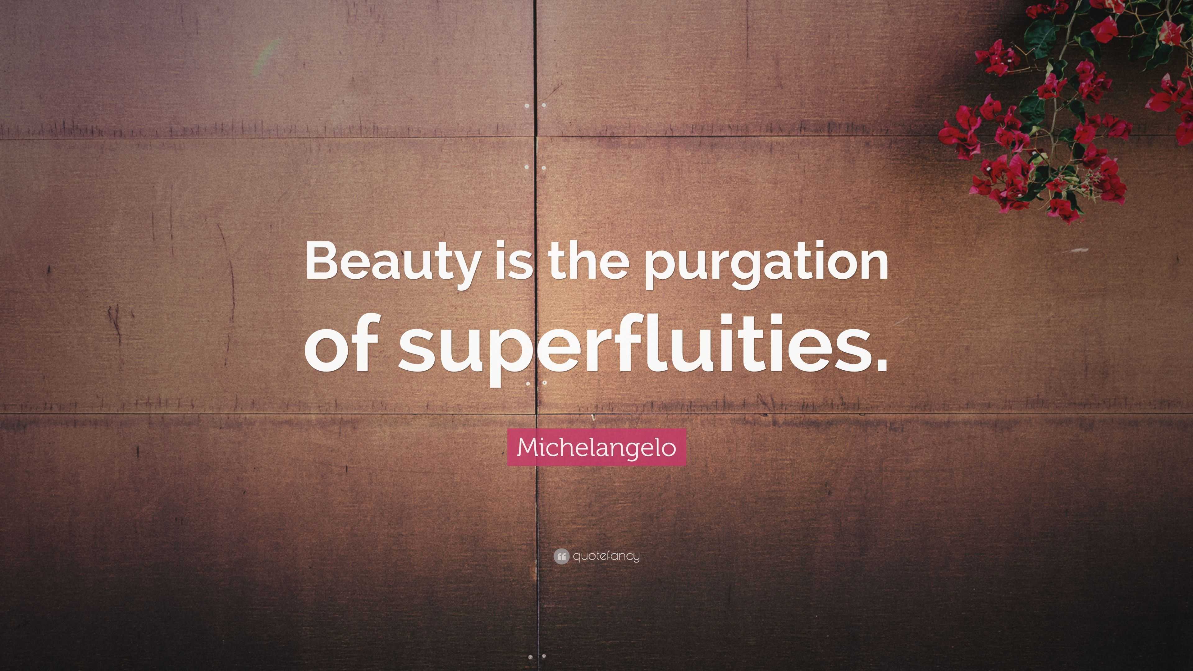 Michelangelo Quote: “Beauty is the purgation of superfluities.”