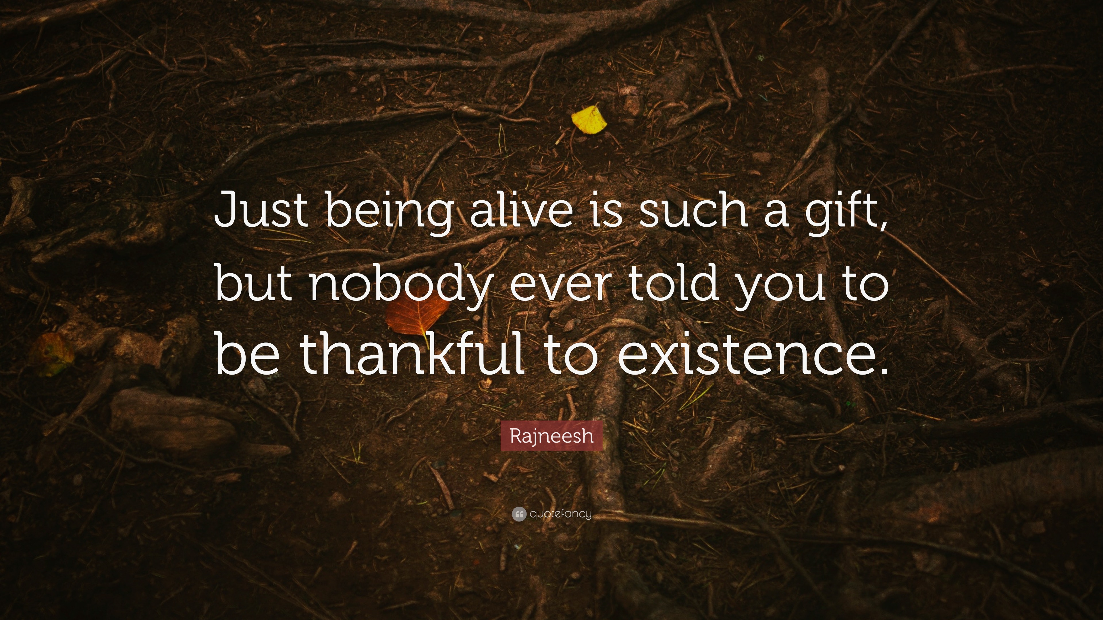 Rajneesh Quote: “Just being alive is such a gift, but nobody ever told ...