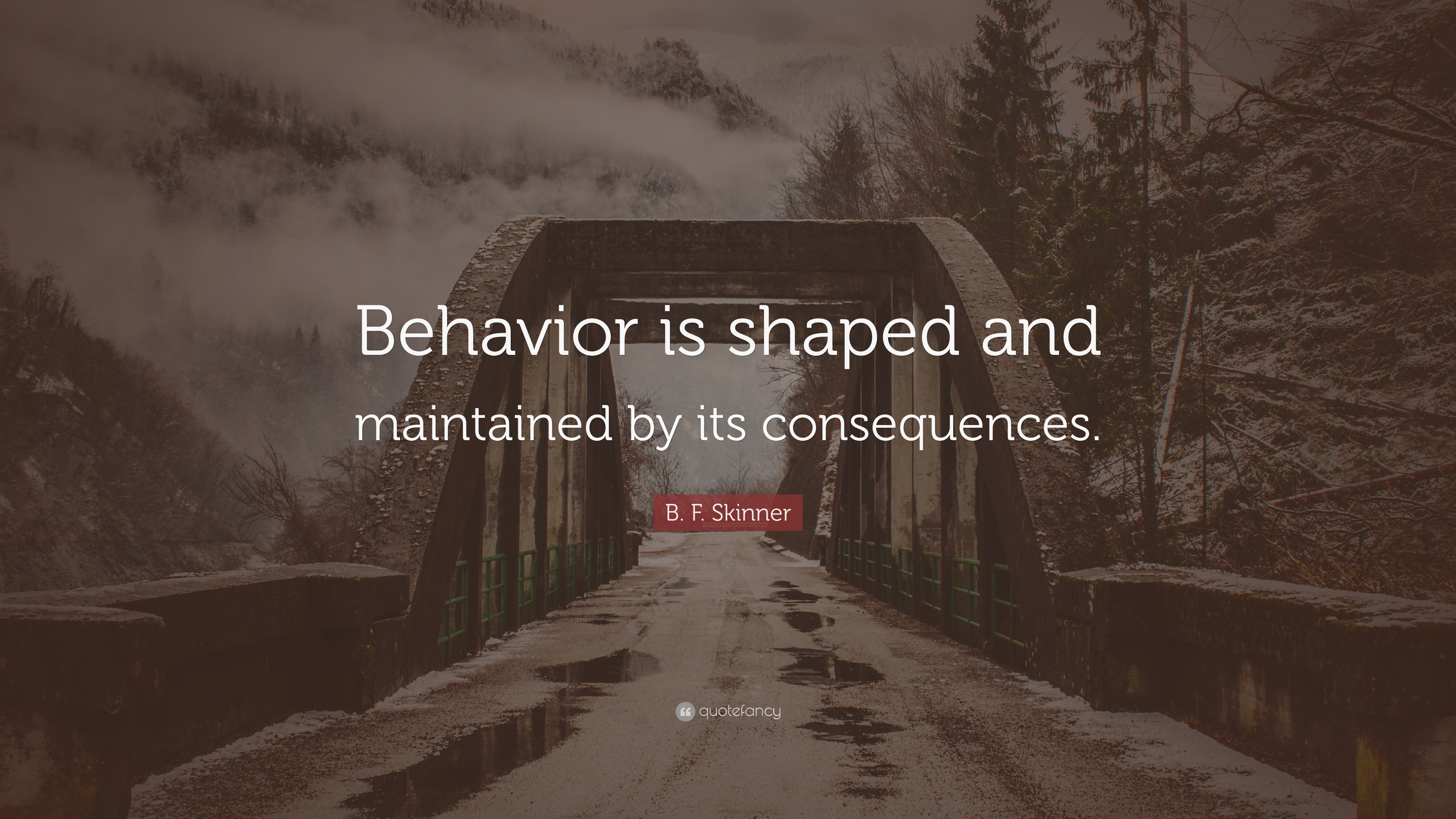 B. F. Skinner Quote: “Behavior is shaped and maintained by its ...