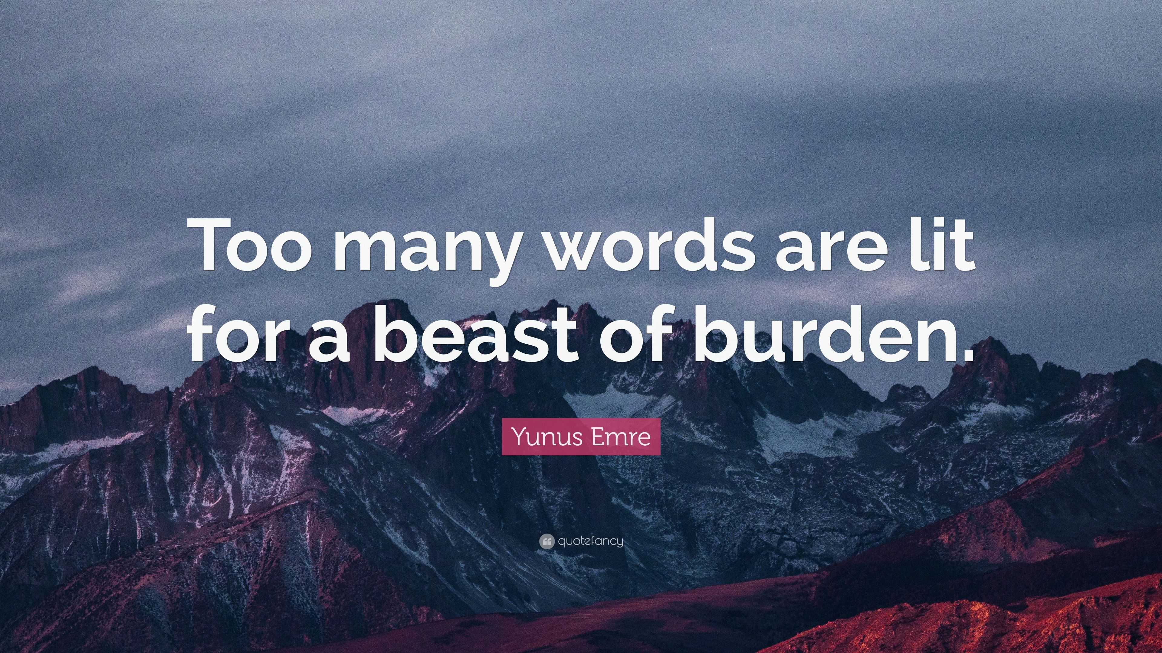 Yunus Emre Quote: “Too many words are lit for a beast of burden.”