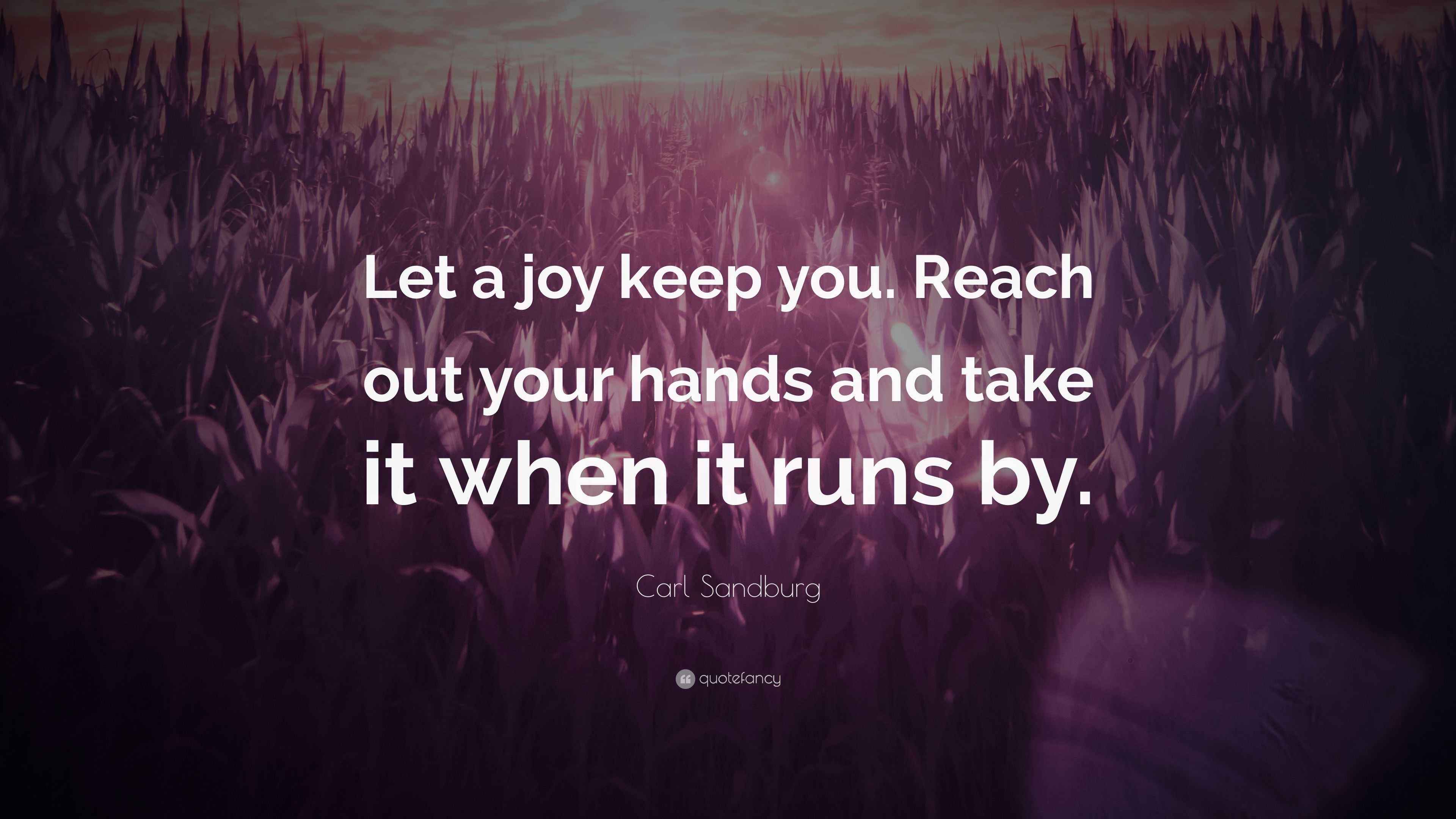 Carl Sandburg Quote: “Let a joy keep you. Reach out your hands and take ...